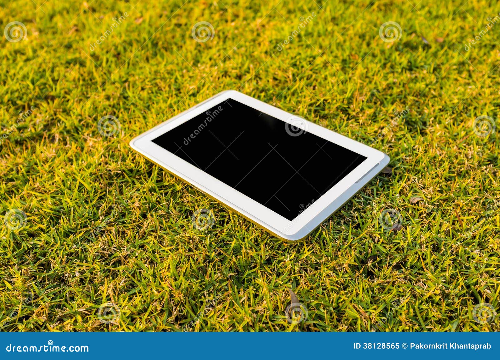 Digital Tablet in Grass Field Stock Image - Image of mobility ...