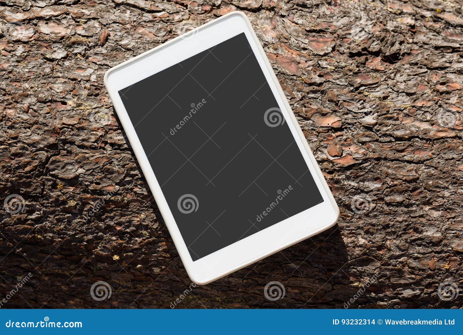 Digital Tablet on a Tree Trunk in the Park Stock Photo - Image of ...