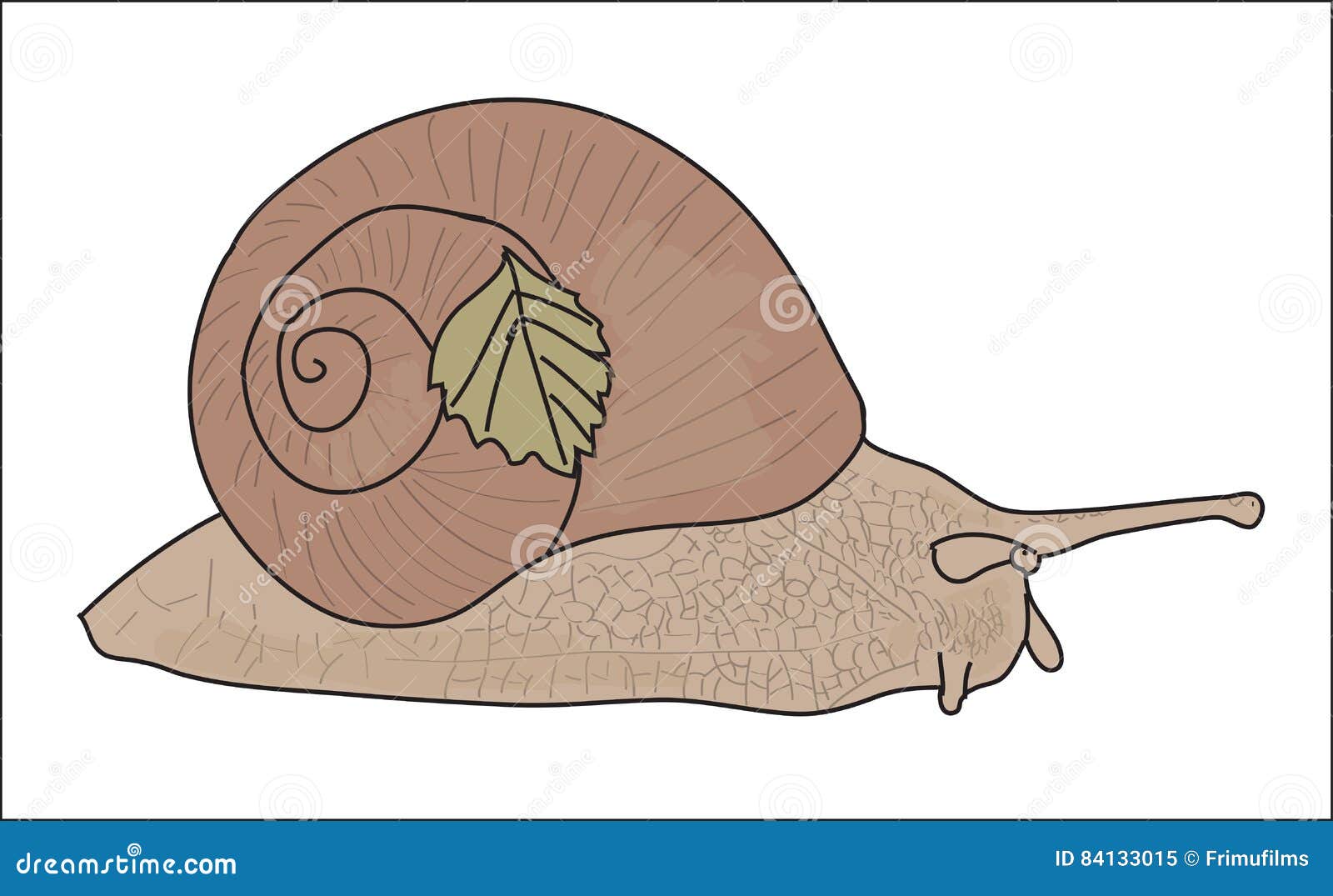 Digital Vector Snail with a Small Leaf Stock Vector - Illustration of ...