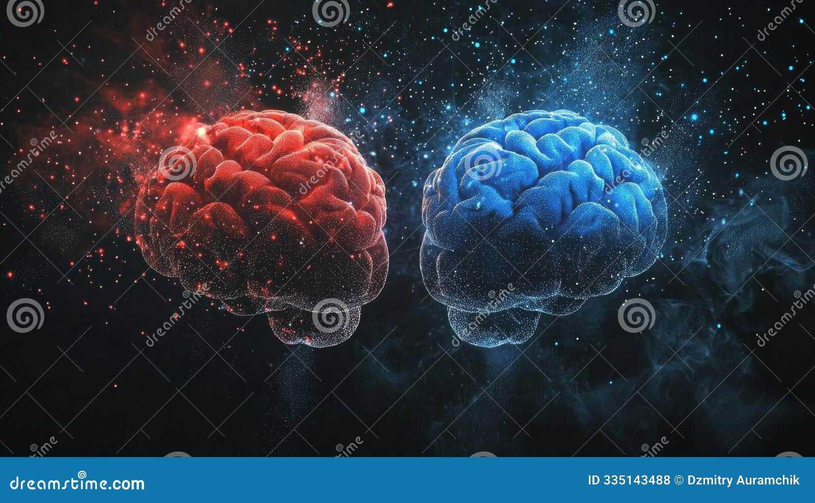 A Digital Visualization of the Intricate Structure of the Human Brain ...