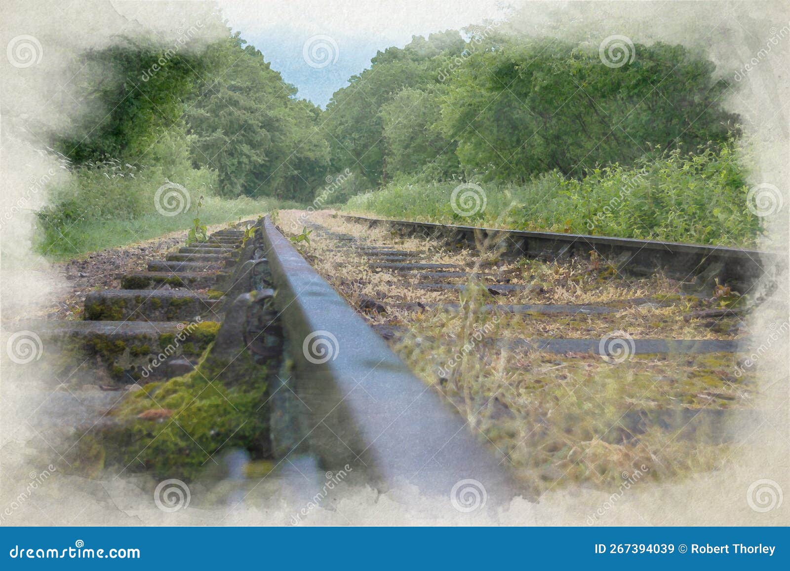 Old Overgrown Disused Railway Tracks. Royalty-Free Stock Photography ... Old Overgrown Disused Railway Tracks. Royalty-Free Stock Photography ...
