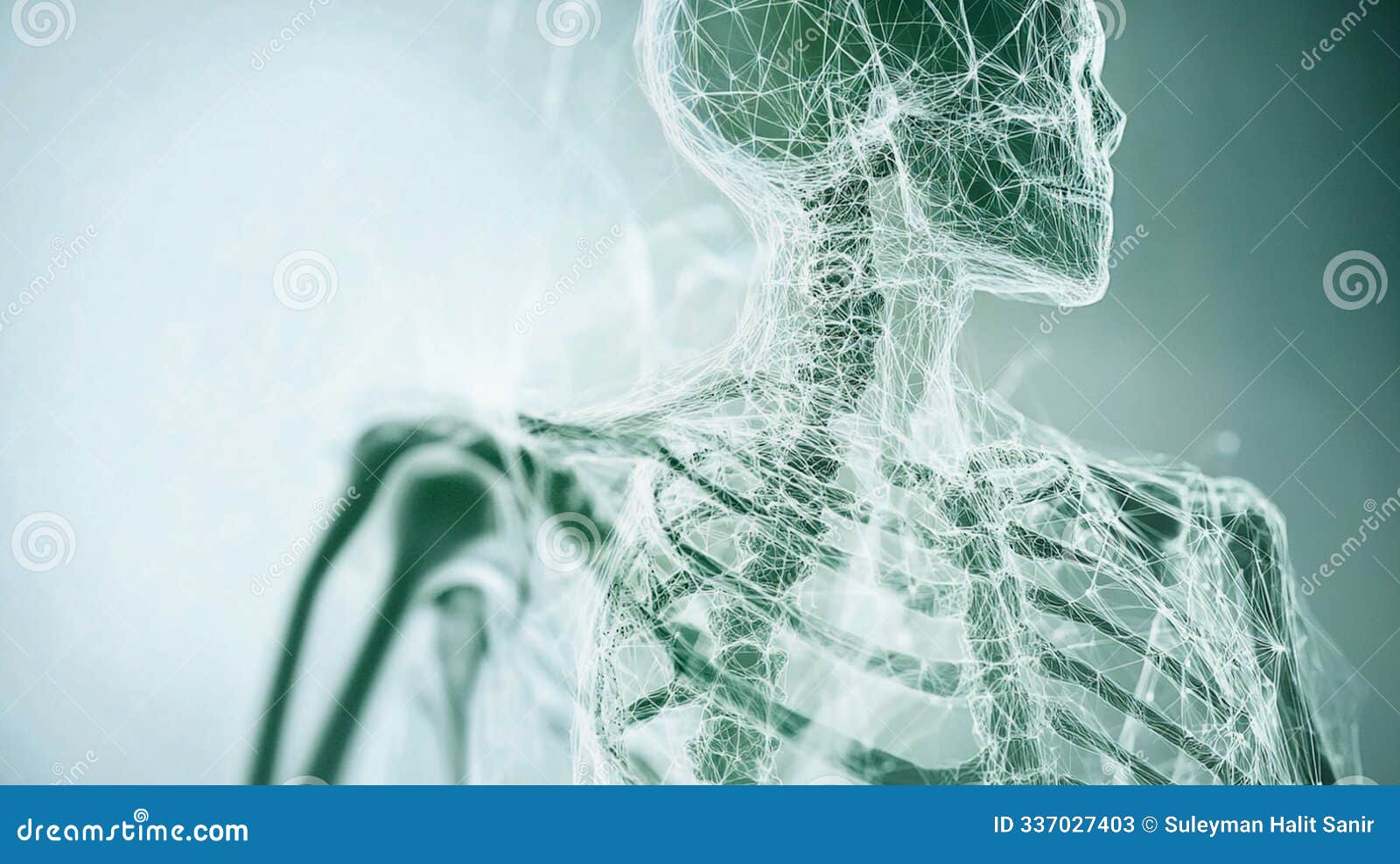 Digital Wireframe Visualization of the Human Skeleton, Highlighting ...
