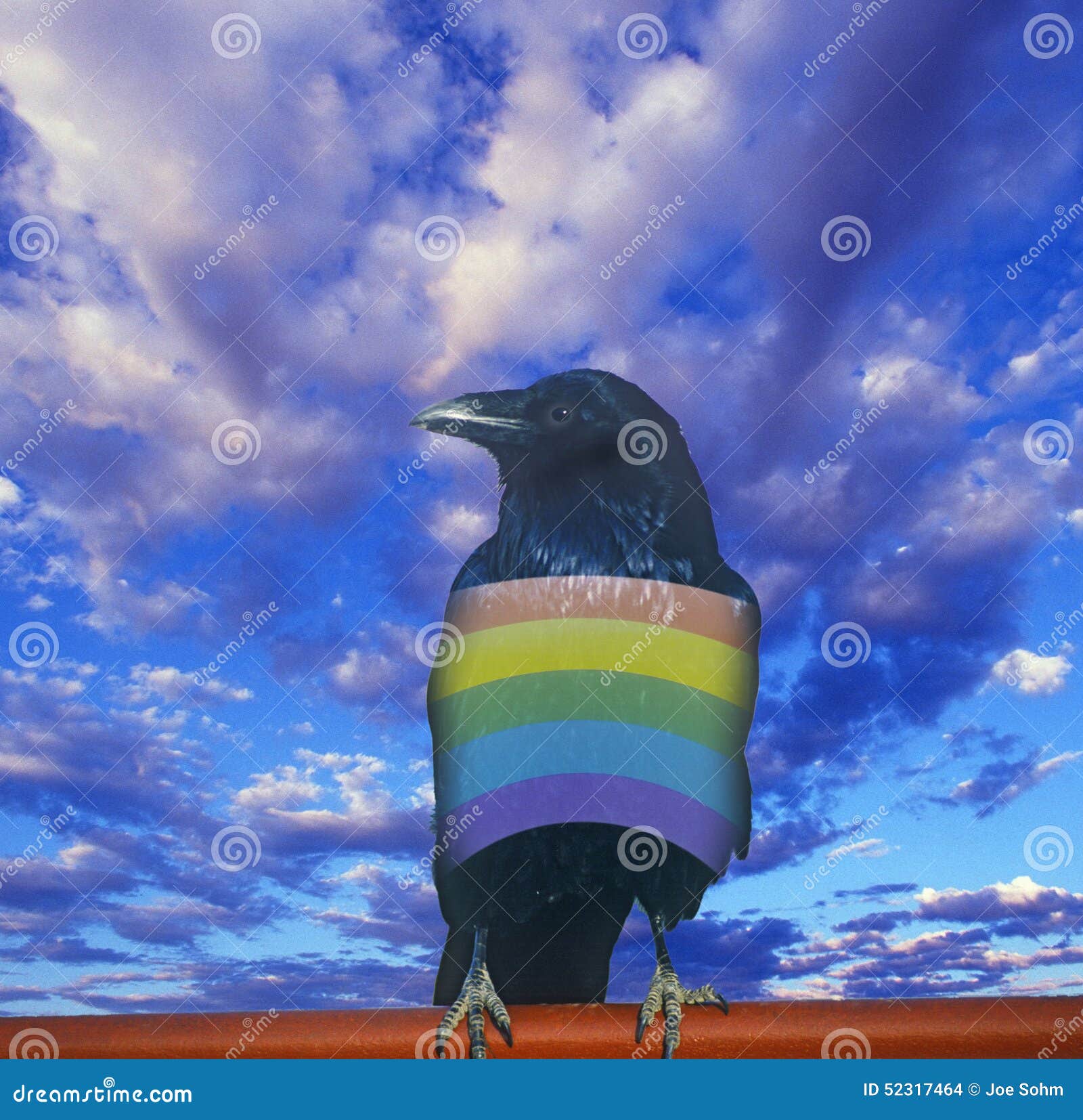 Digitally Altered View of a Rainbow Striped Black Crow and Blue Sky ...