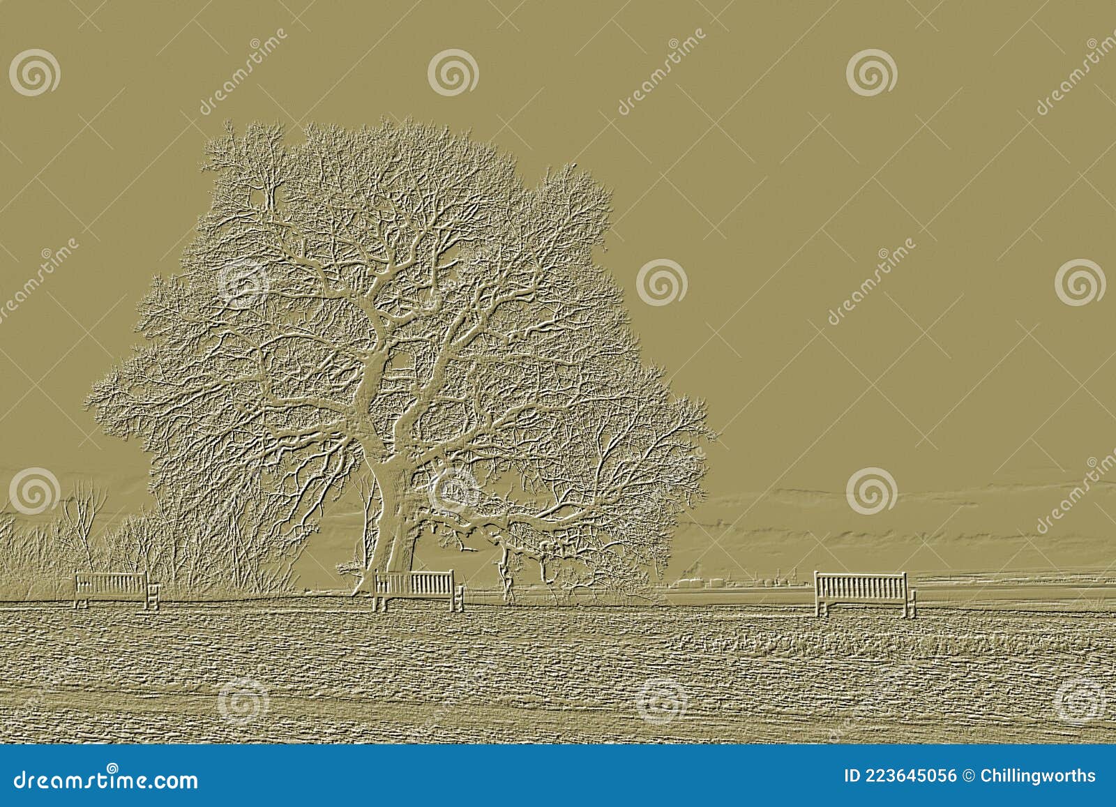 Digitally Embossed Image of a Bare Oak Tree Quercus Stock Photo - Image ...