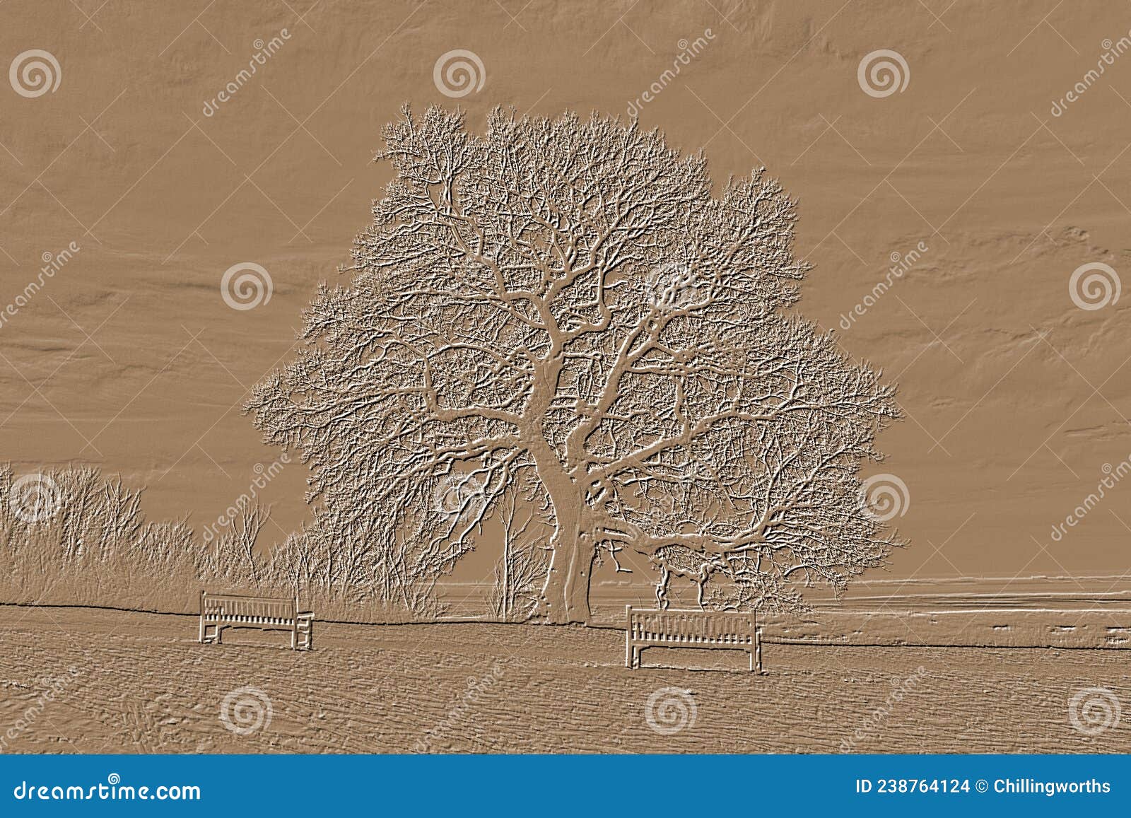 Digitally Embossed Image of a Bare Oak Tree Quercus on a Winter`s Day ...