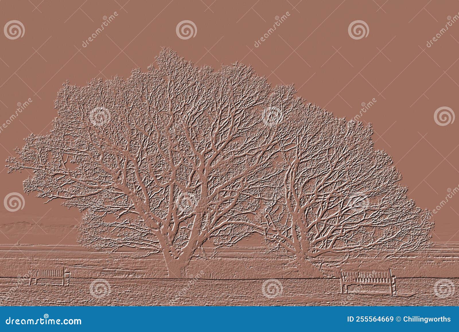 Digitally Embossed Image Bare Oak Trees Quercus on a Winter`s Day Stock ...