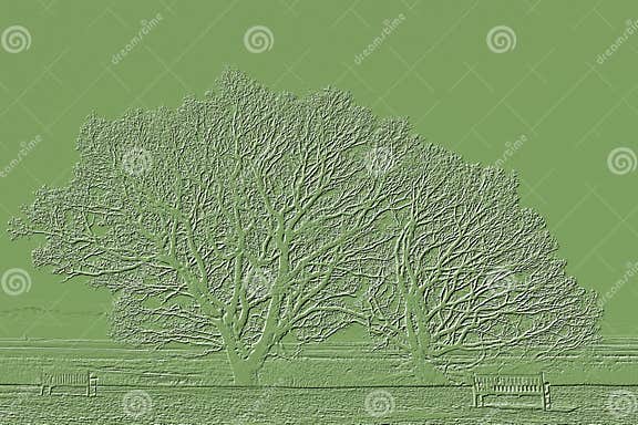 Digitally Embossed Image Bare Oak Trees Quercus on a Winter`s Day Stock ...