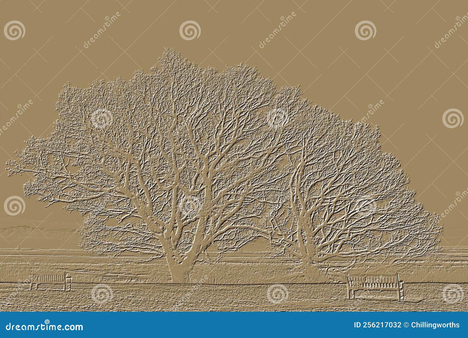 Embossed Image Bare Oak Trees Quercus on a Winter`s Day Stock ...