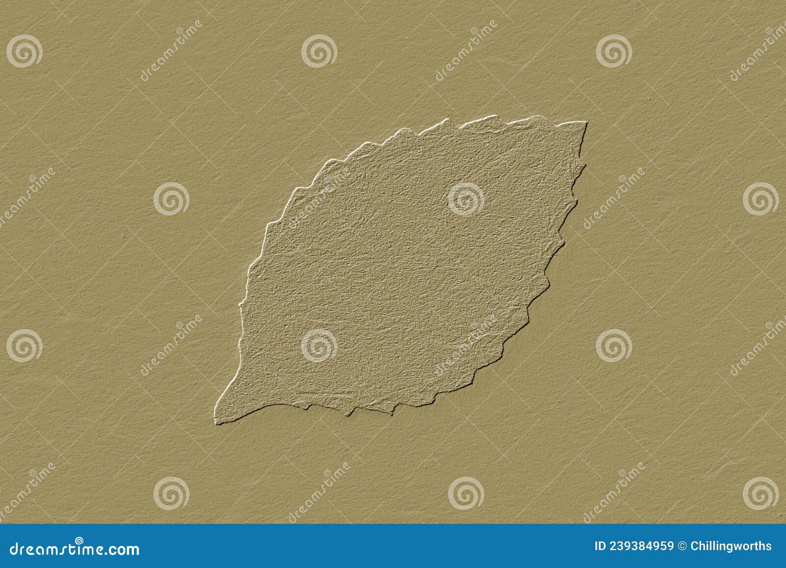 Embossed Image Of A Iris Reticulata Stock Photography | CartoonDealer ...