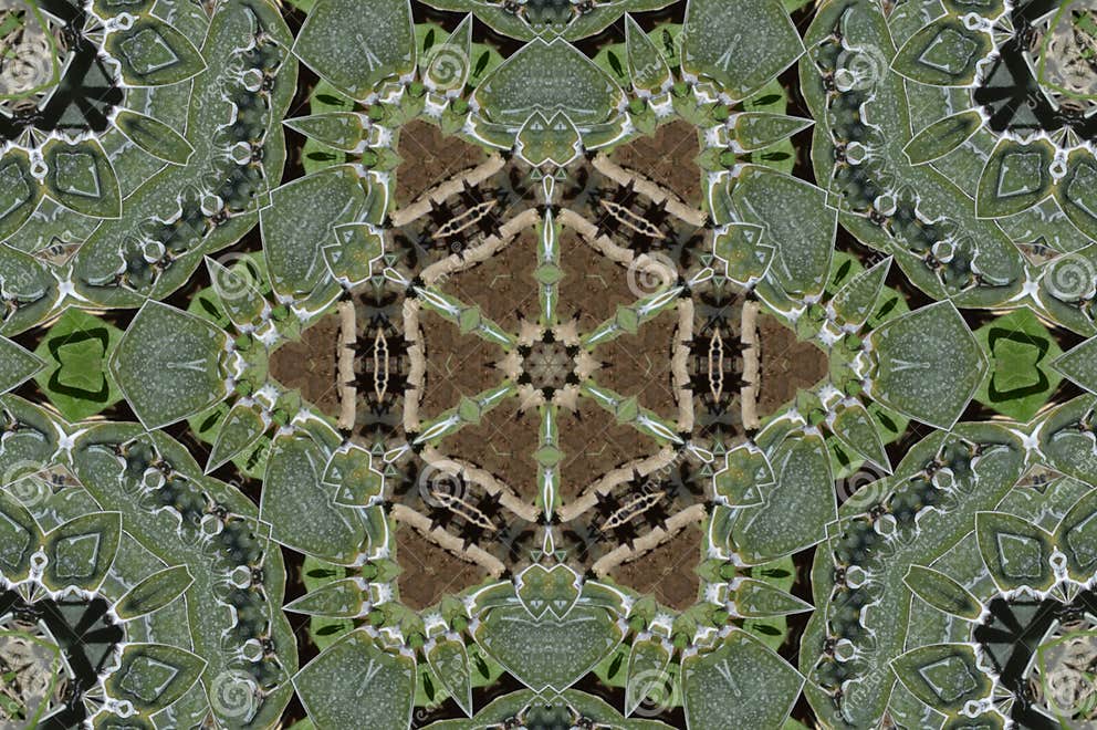 Digitally processed photo stock illustration. Illustration of ...