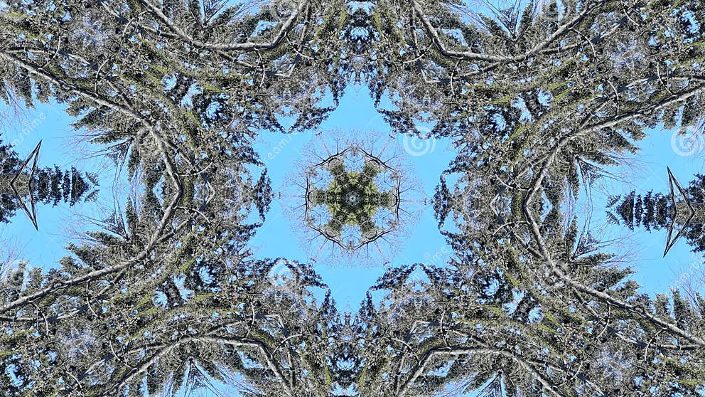 Digitally processed photo stock photo. Image of processing - 332737984