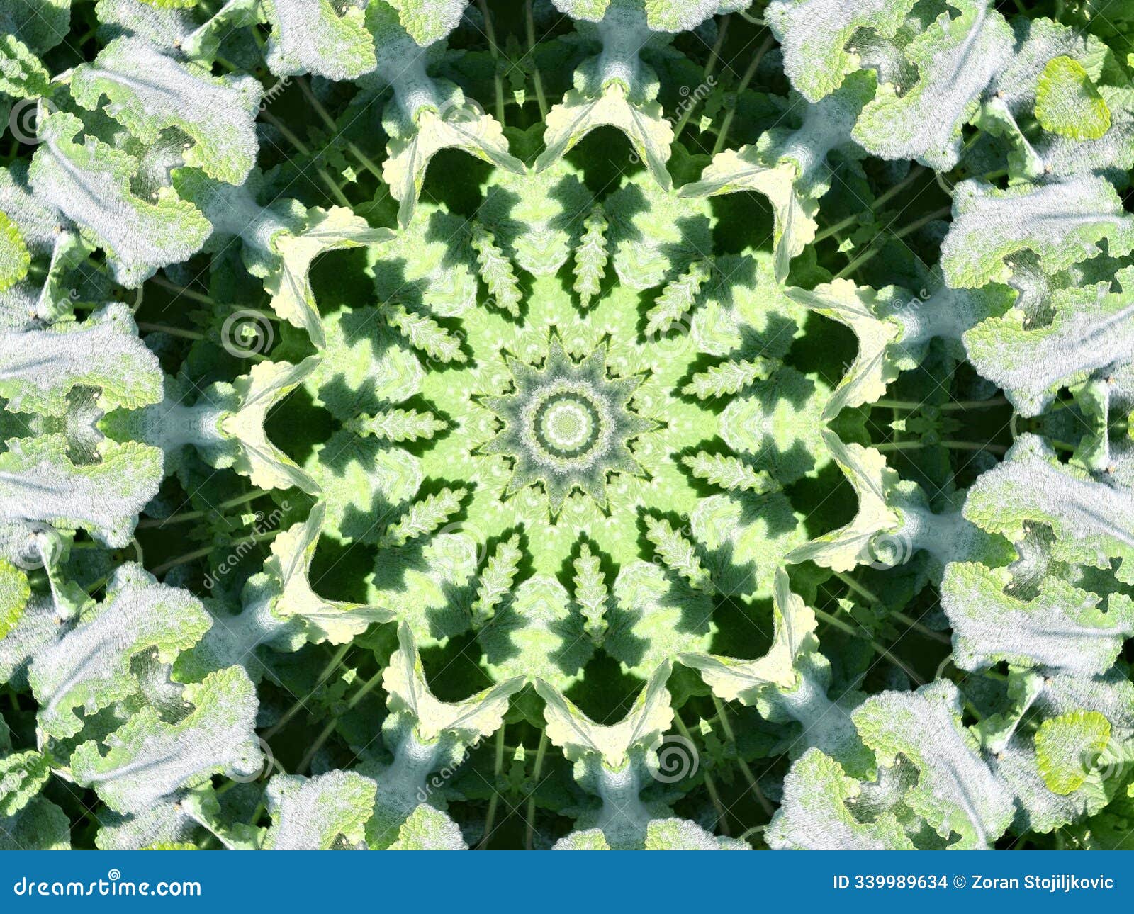 Digitally processed photo stock photo. Image of editing - 339989634