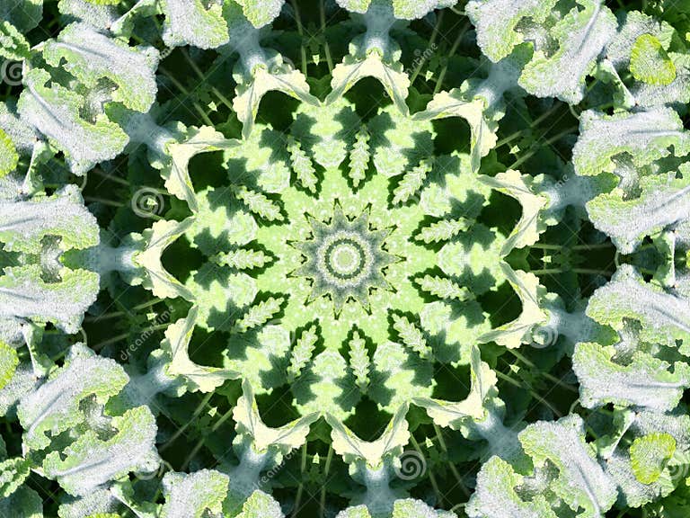 Digitally processed photo stock photo. Image of editing - 339989634