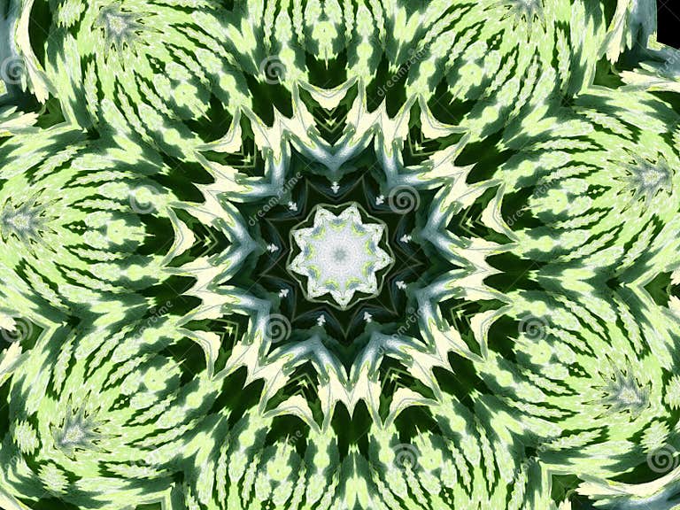 Digitally processed photo stock image. Image of development - 339989963