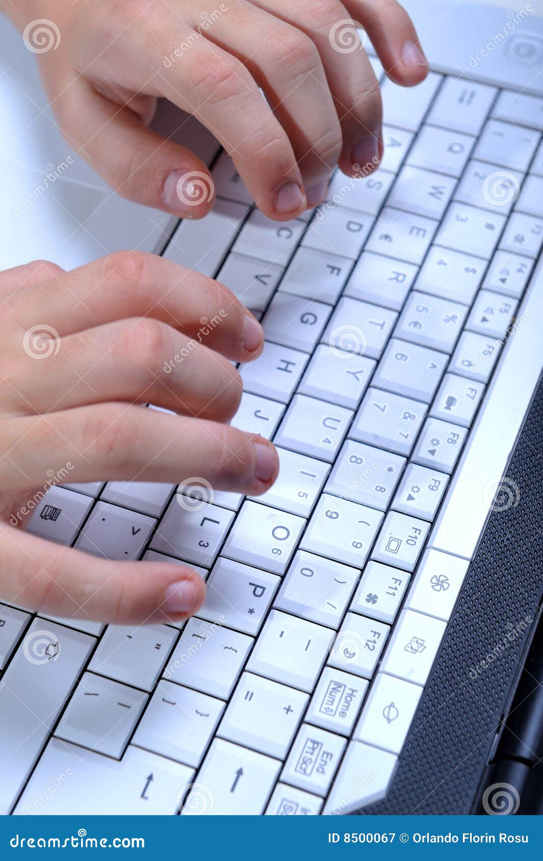 Digitare Del Computer Portatile Della Tastiera Immagine Stock ...