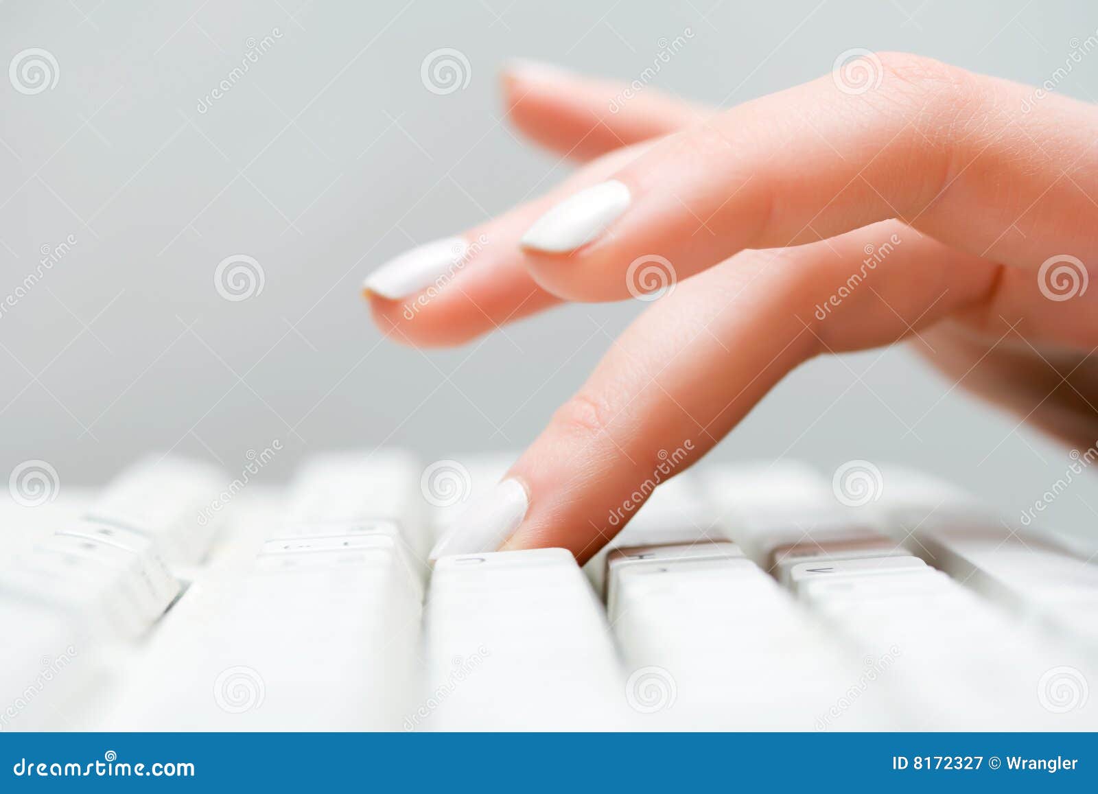 Digitare Femminile Della Mano. Immagine Stock - Immagine di ingresso ...