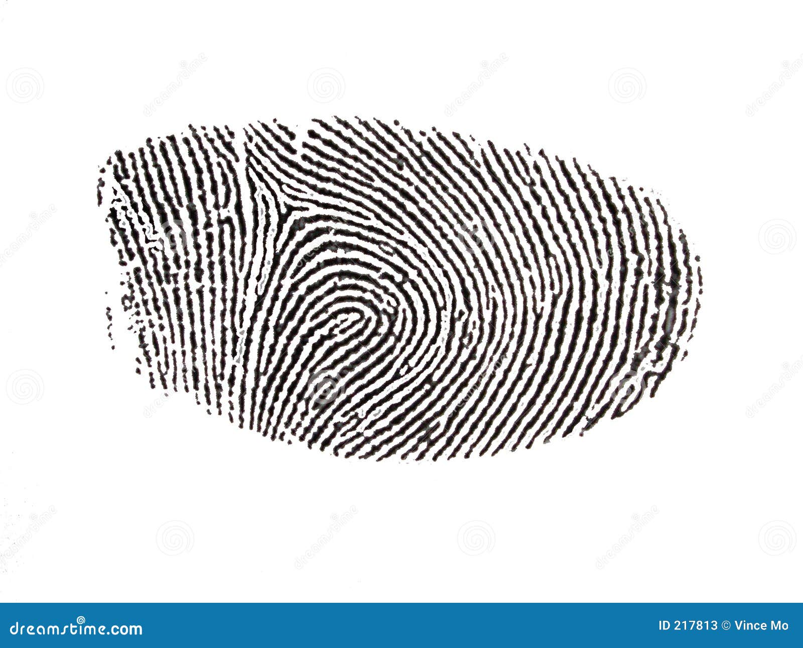 Digitised Fingerprint stock illustration. Illustration of crime - 217813