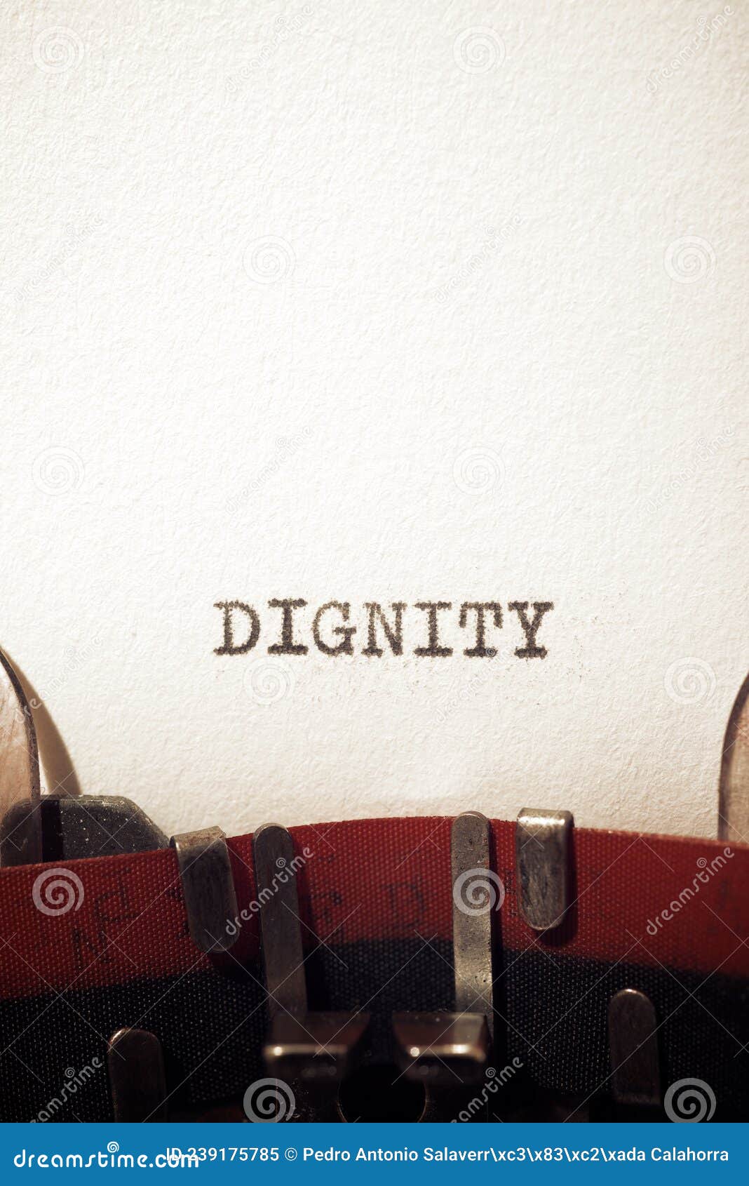 Dignity concept view stock image. Image of self, ideas - 239175785