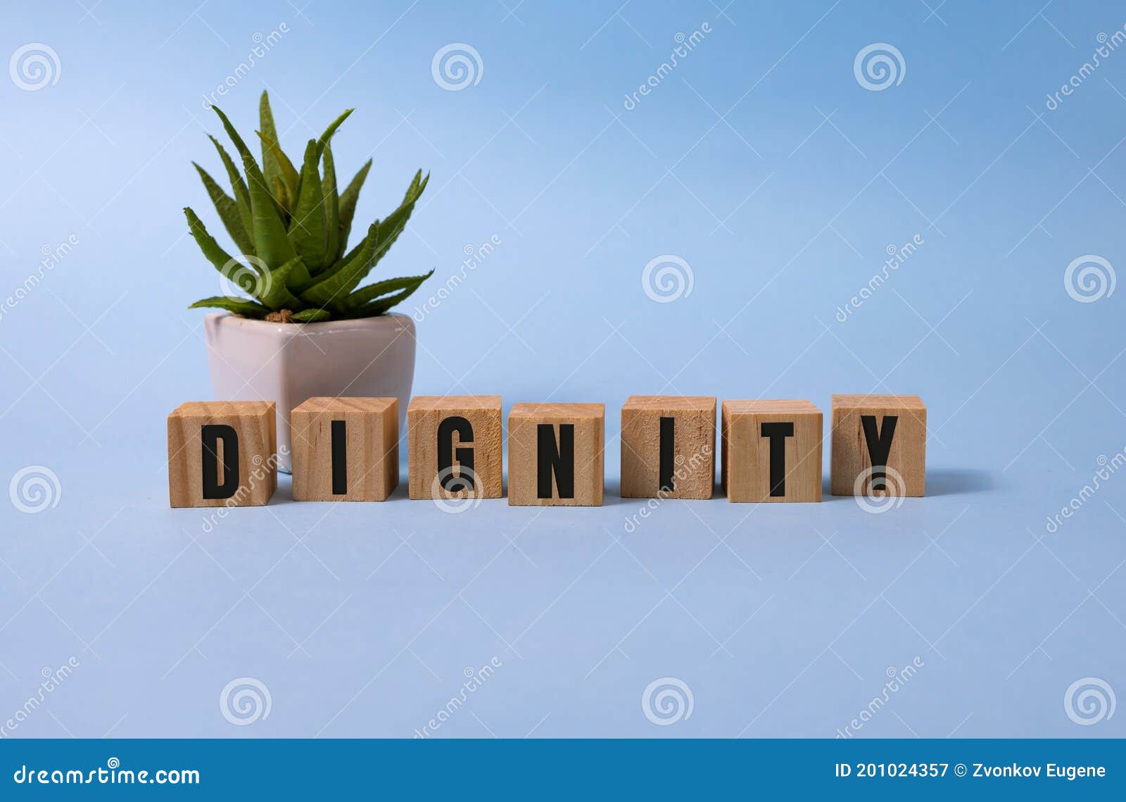 Dignity Word Written on Wood Block on Blue Stock Image - Image of ...