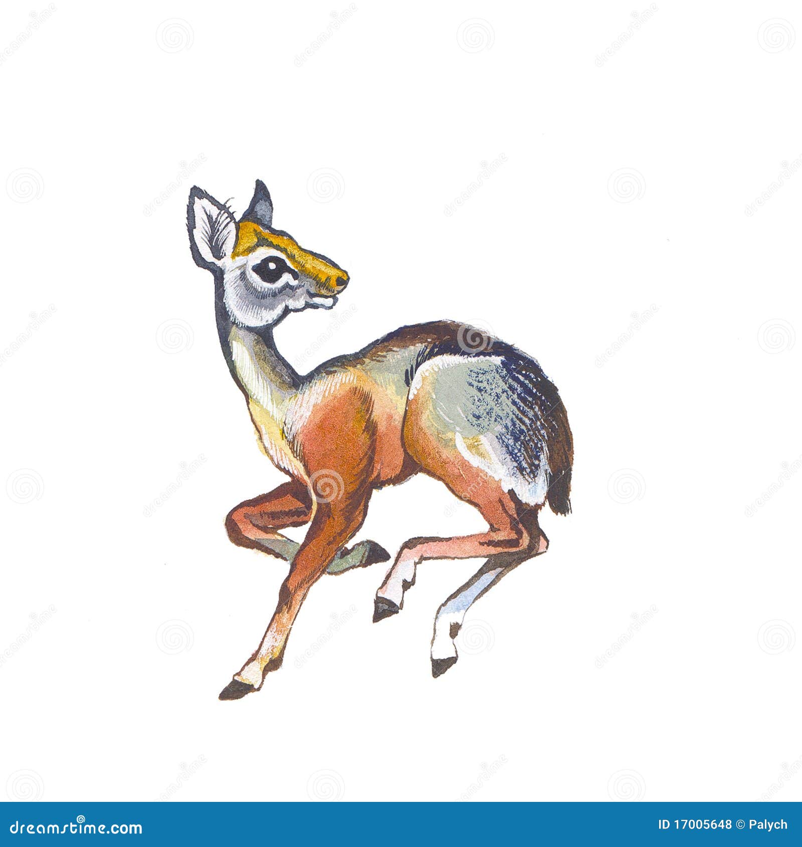 Dik Dik Tattoos