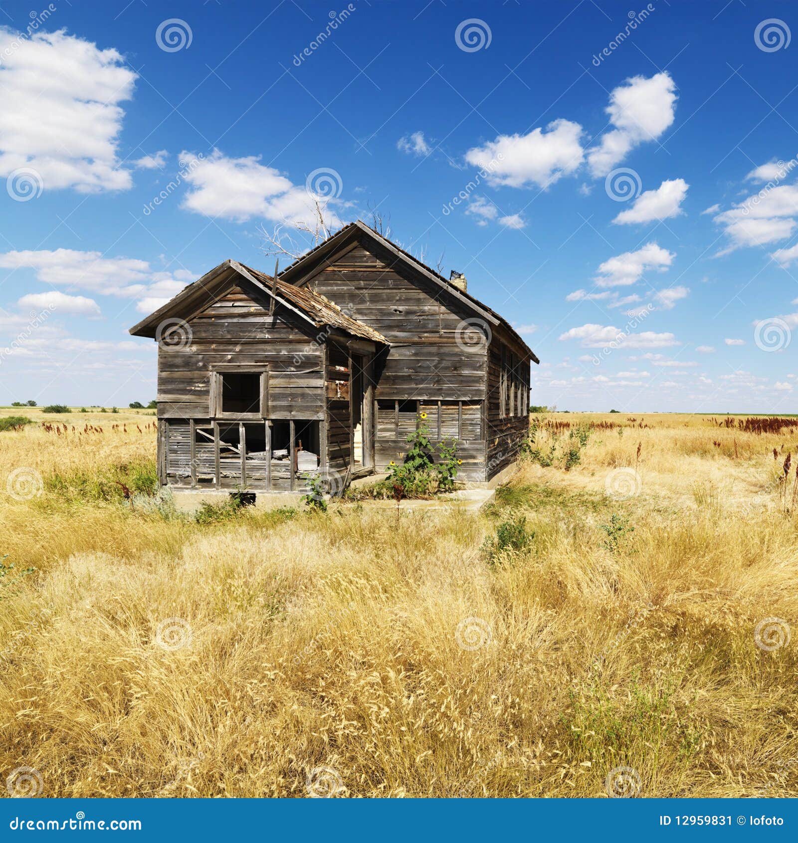 Dilapidated Abandoned House Stock Image - Image of outdoors, north ...