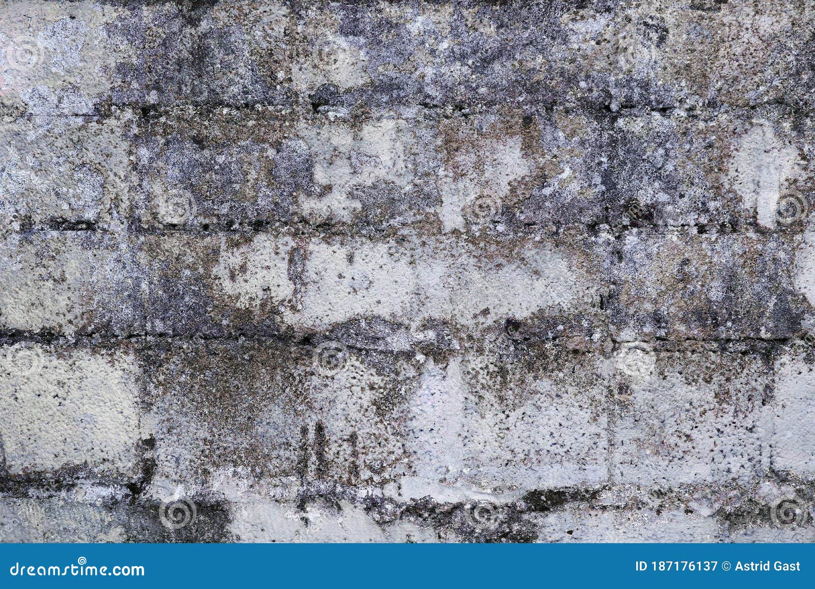 A Dilapidated Brickwork with Broken Plaster, Holes and Mould on a ...