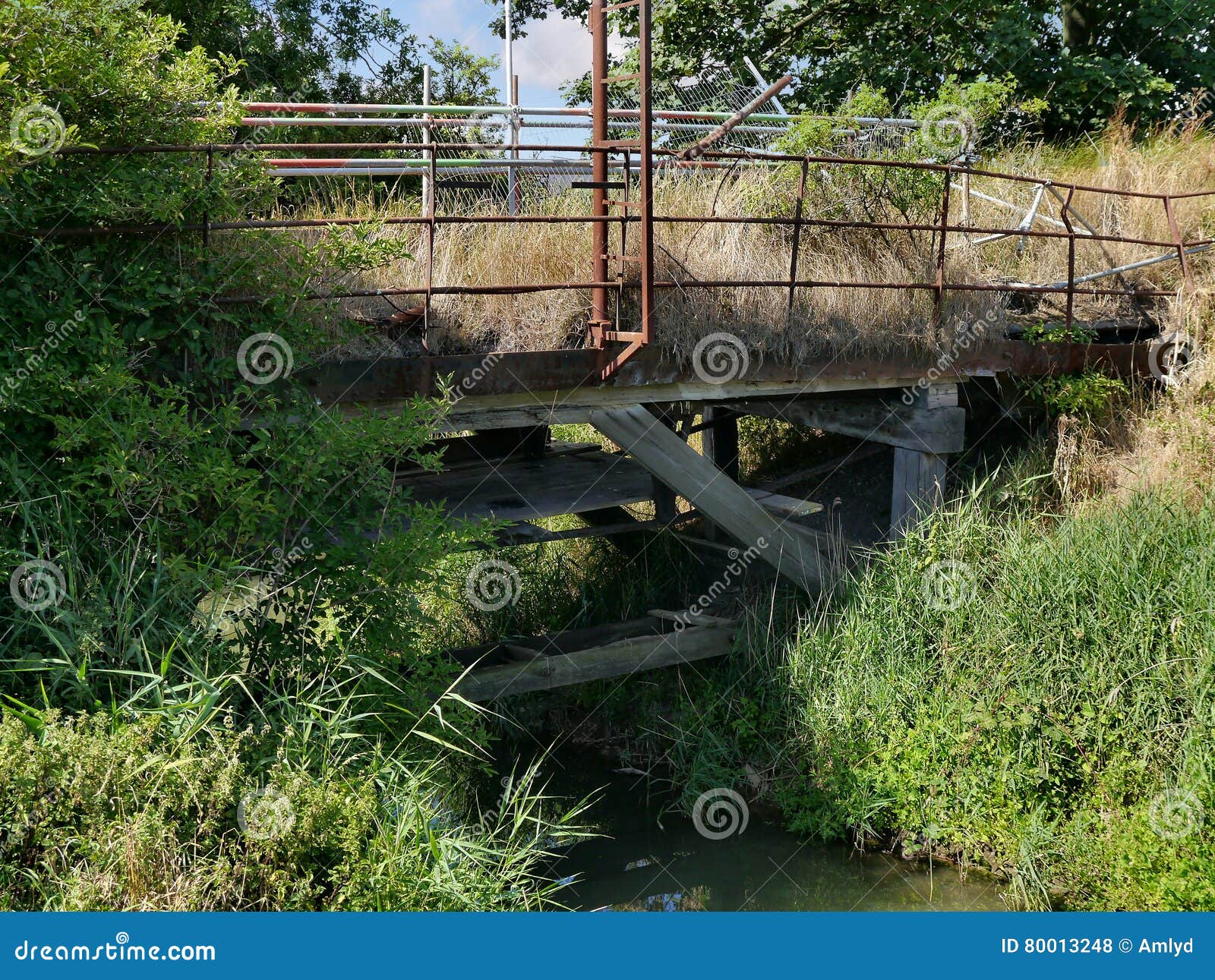 Dilapidated Bridge Reclaimed by Nature Stock Photo - Image of branch ...