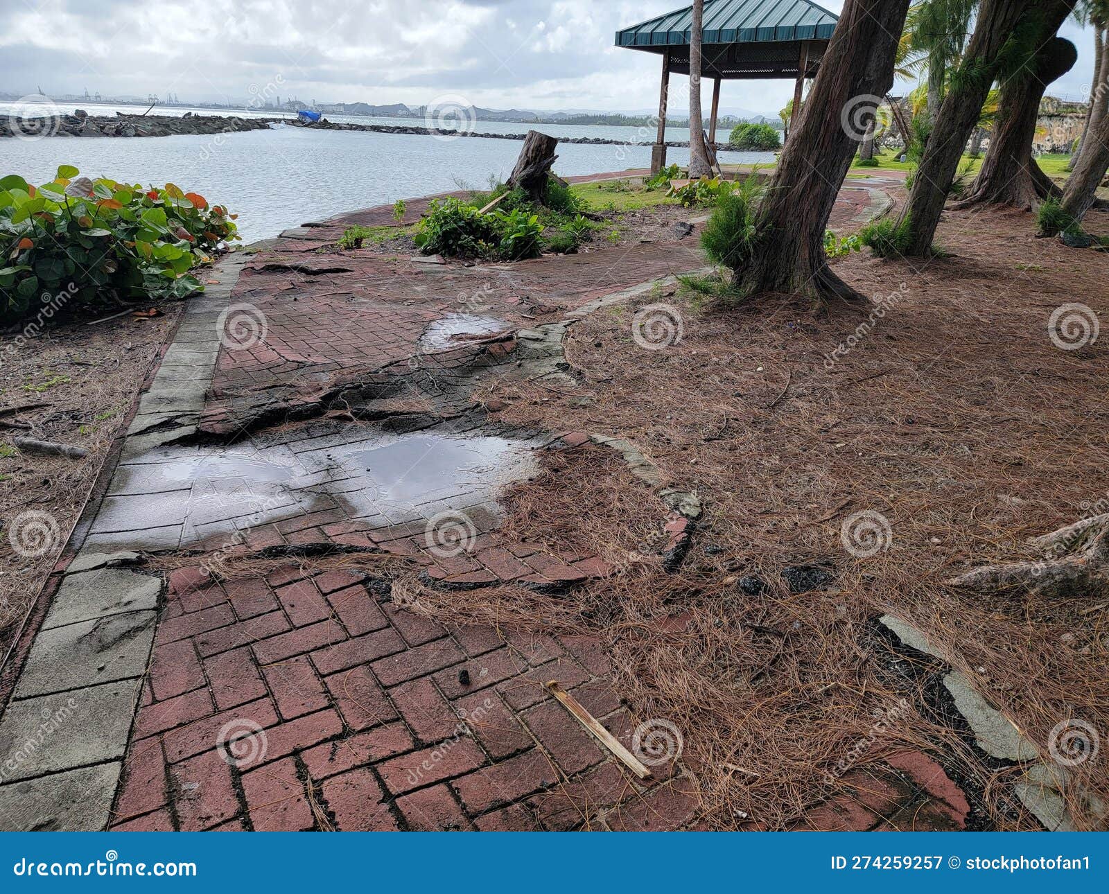 Dilapidated or Broken Red Brick Path or Trail Stock Image - Image of ...
