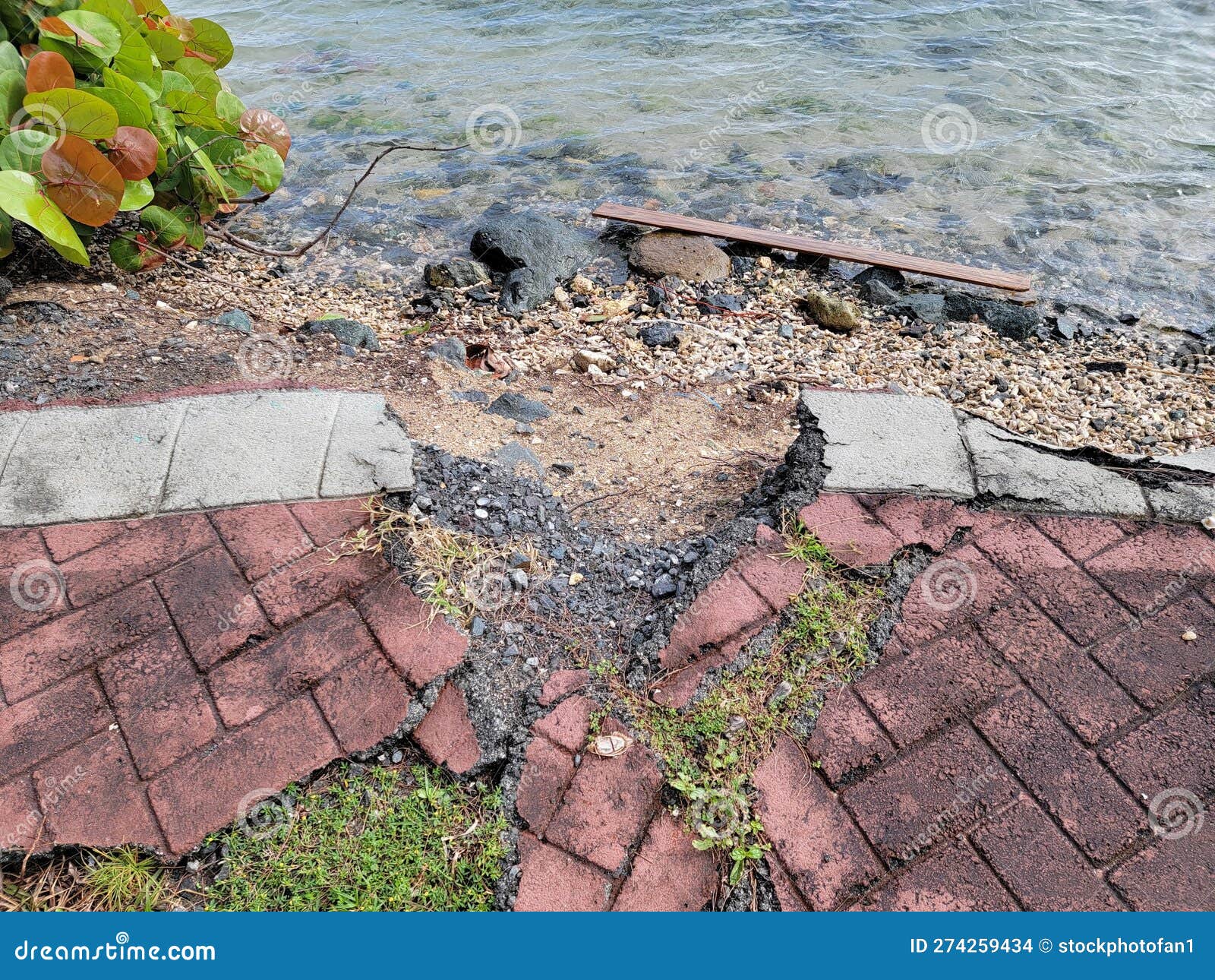 Dilapidated or Broken Red Brick Path or Trail Stock Photo - Image of ...