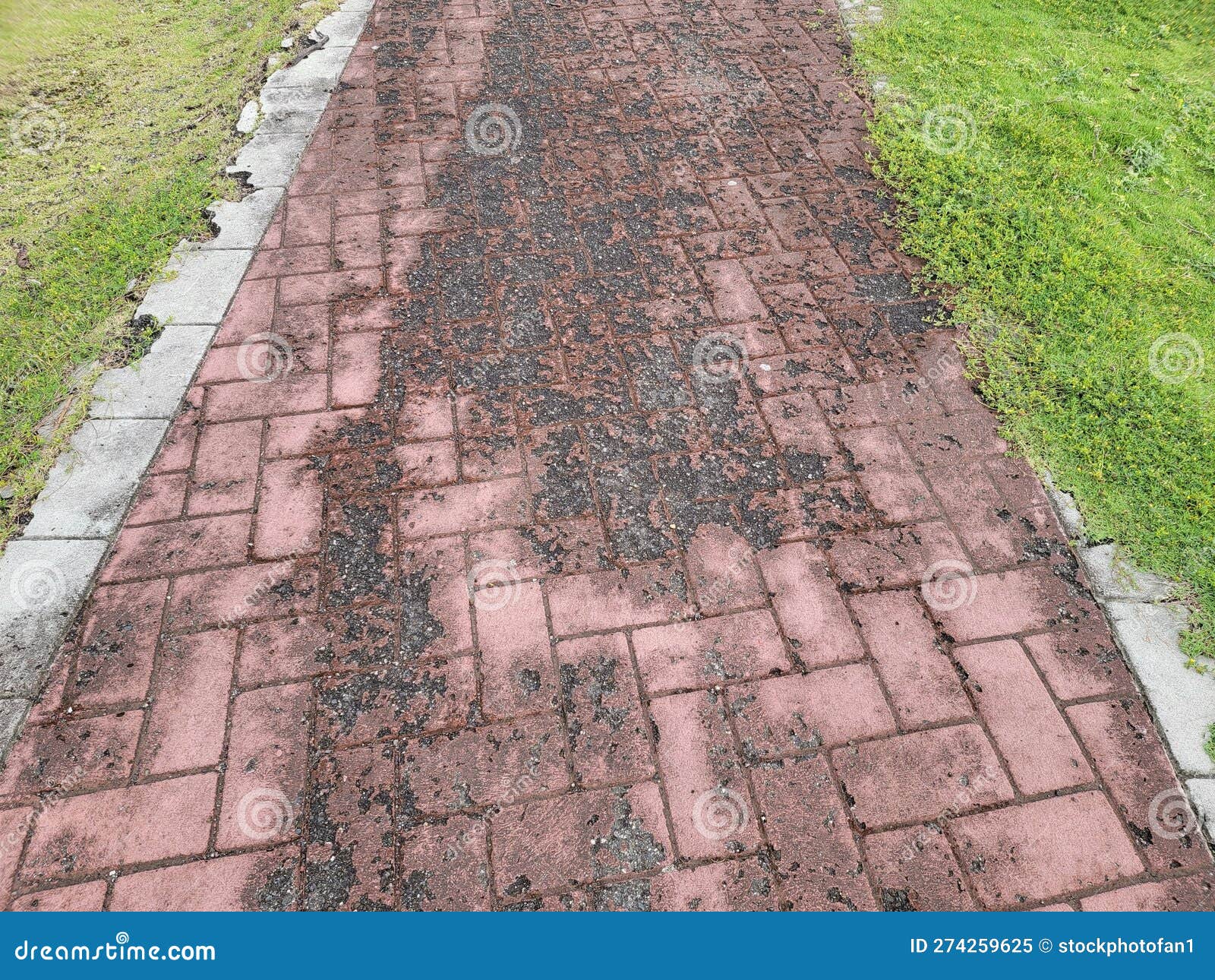 Dilapidated or Broken Red Brick Path or Trail Stock Image - Image of ...