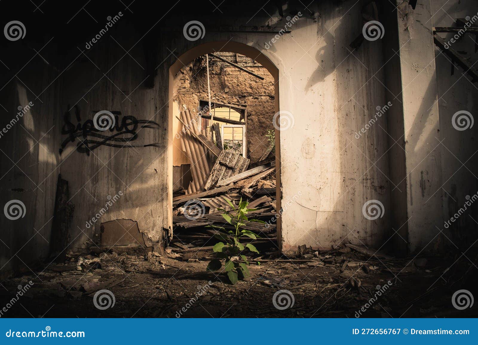 Dilapidated Old Building with Trees and Foliage Obscuring the Structure ...