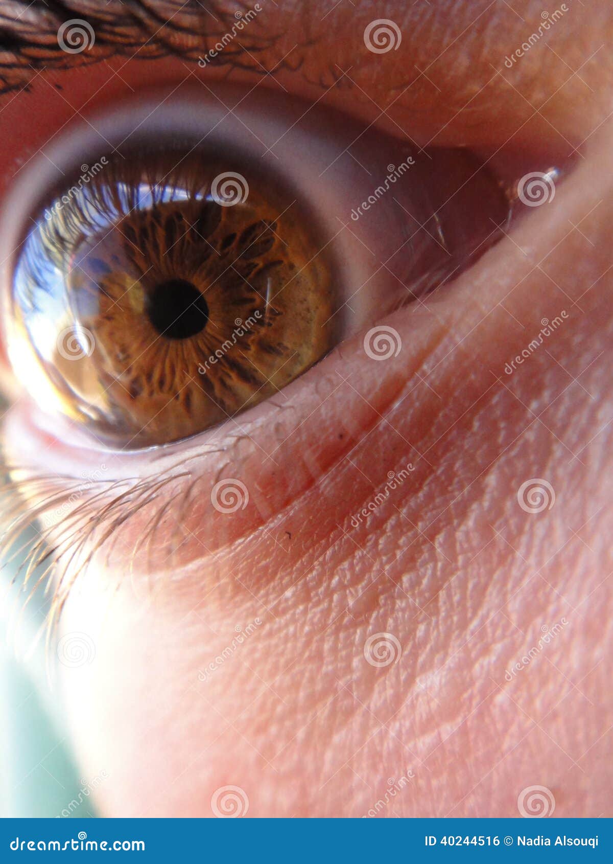 Dilated pupil stock photo. Image of close, macro, fear - 40244516