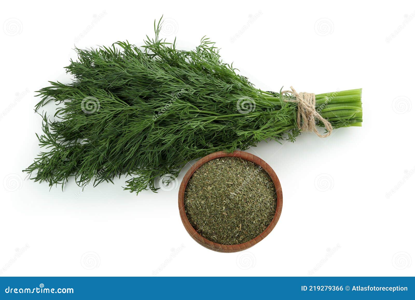 Dill and Dry Dill Isolated on White Background Stock Photo - Image of ...