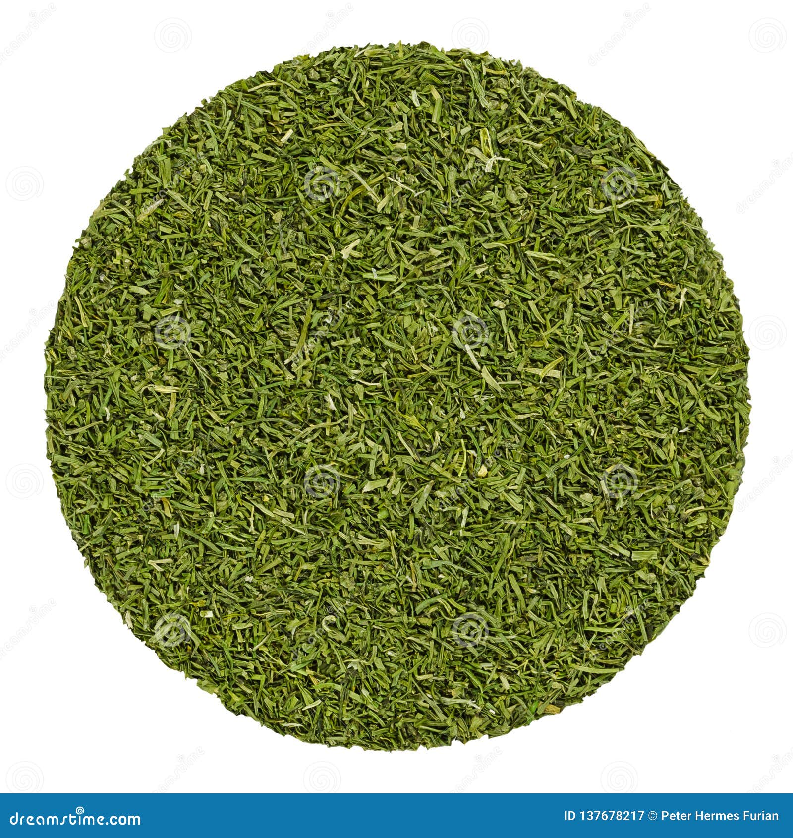 Dried Dill Fronds, Herb Circle from Above, Over White Stock Image ...
