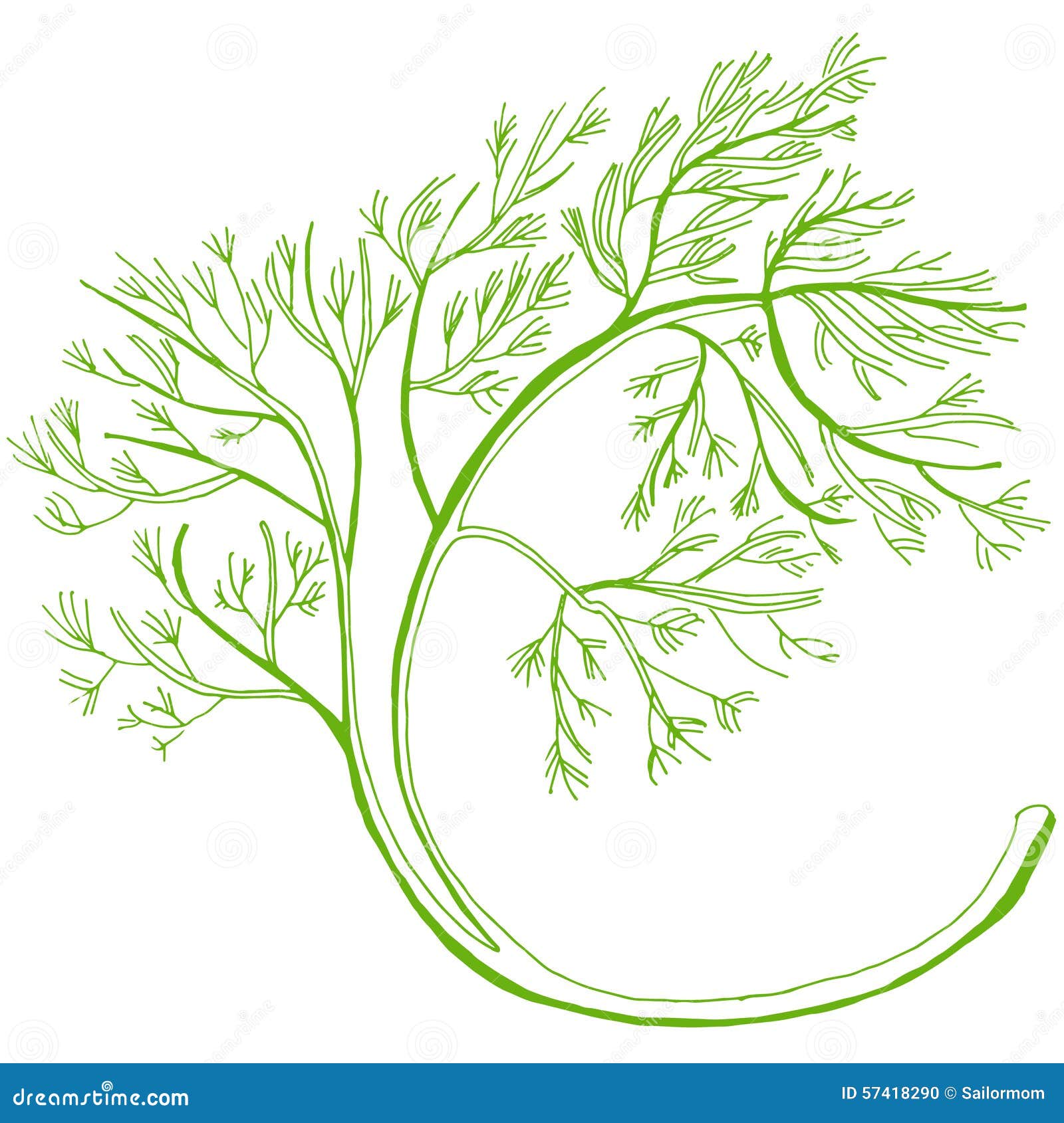 Dill hand drawn stock vector. Illustration of design - 57418290