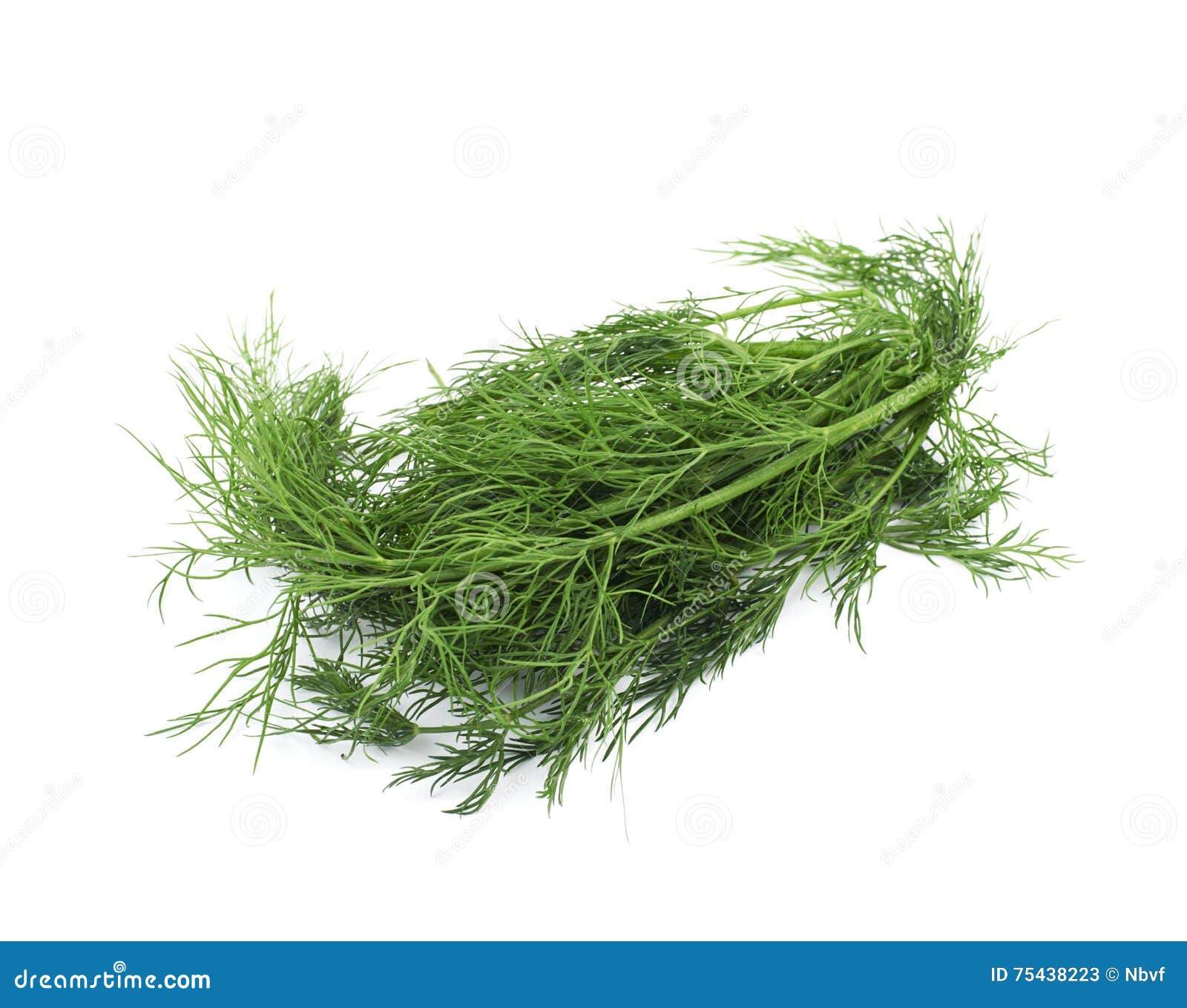Dill herb isolated stock image. Image of macro, closeup - 75438223