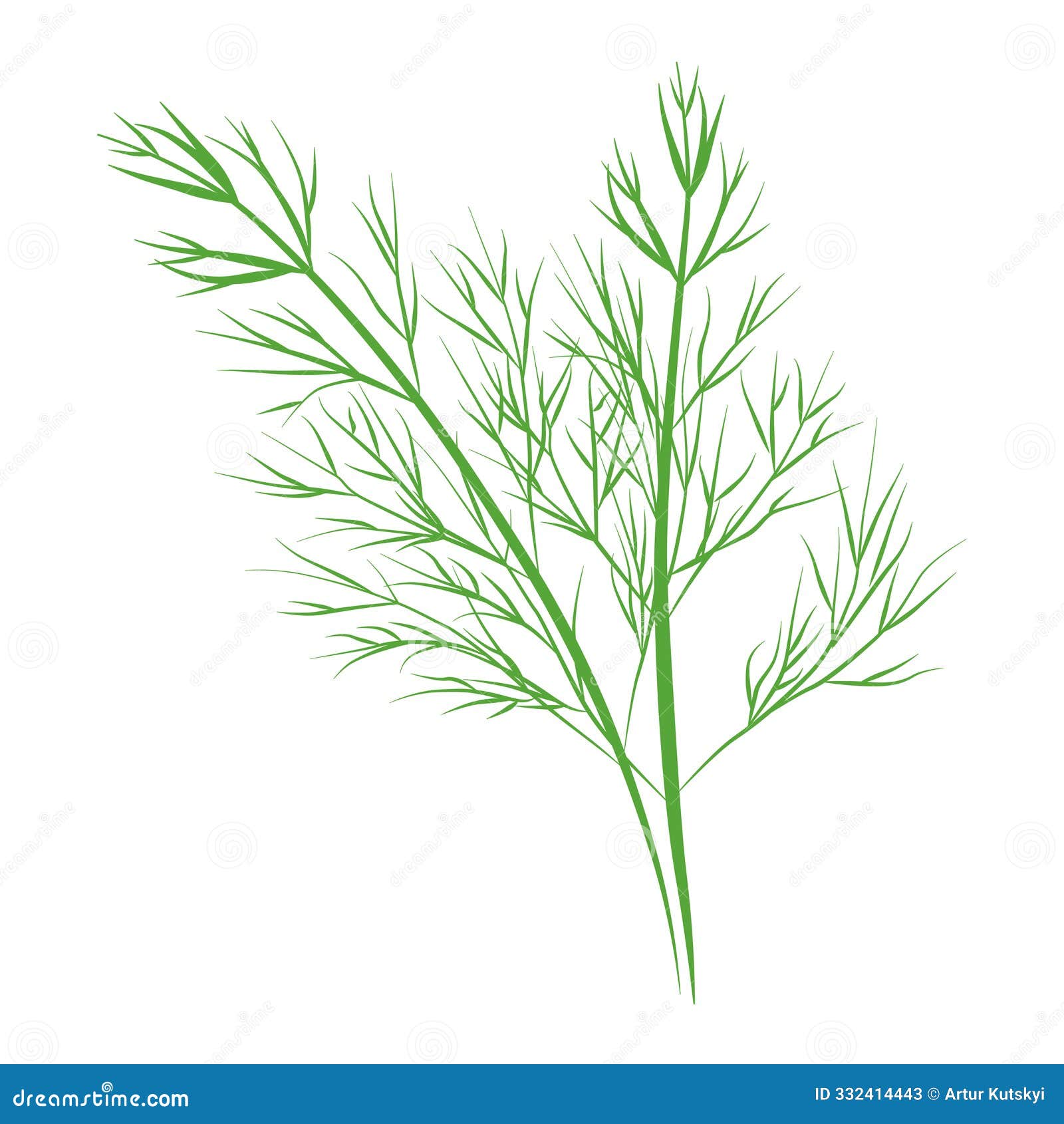 Dill Herb Cartoon Vector | CartoonDealer.com #8263665