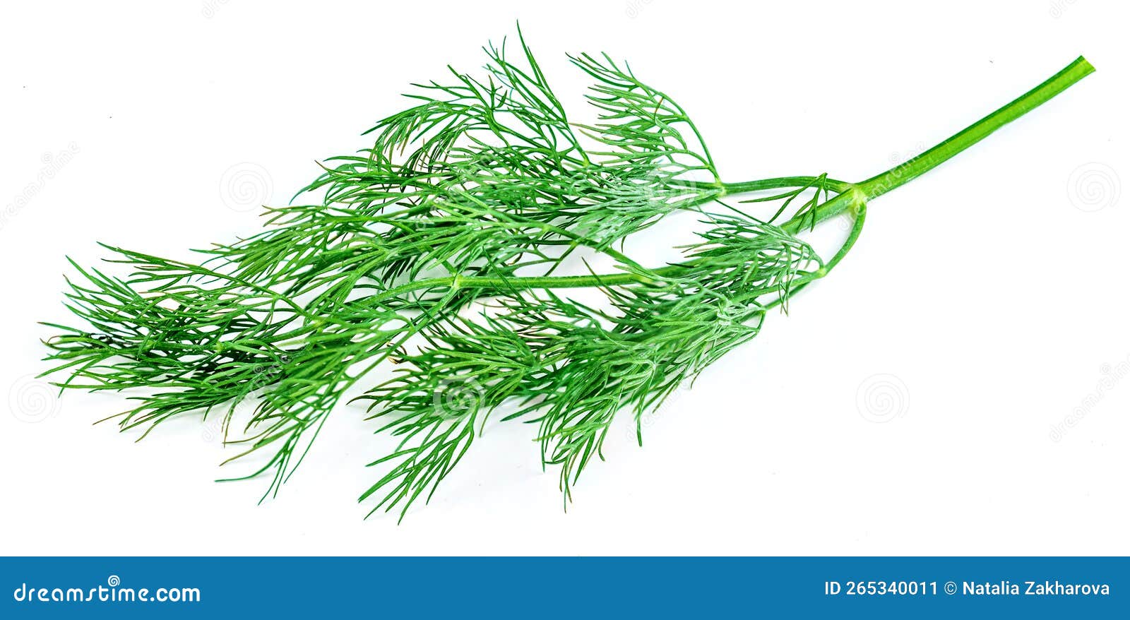Dill Isolated on White Background. Bunch of Fresh Green Dill Macro ...