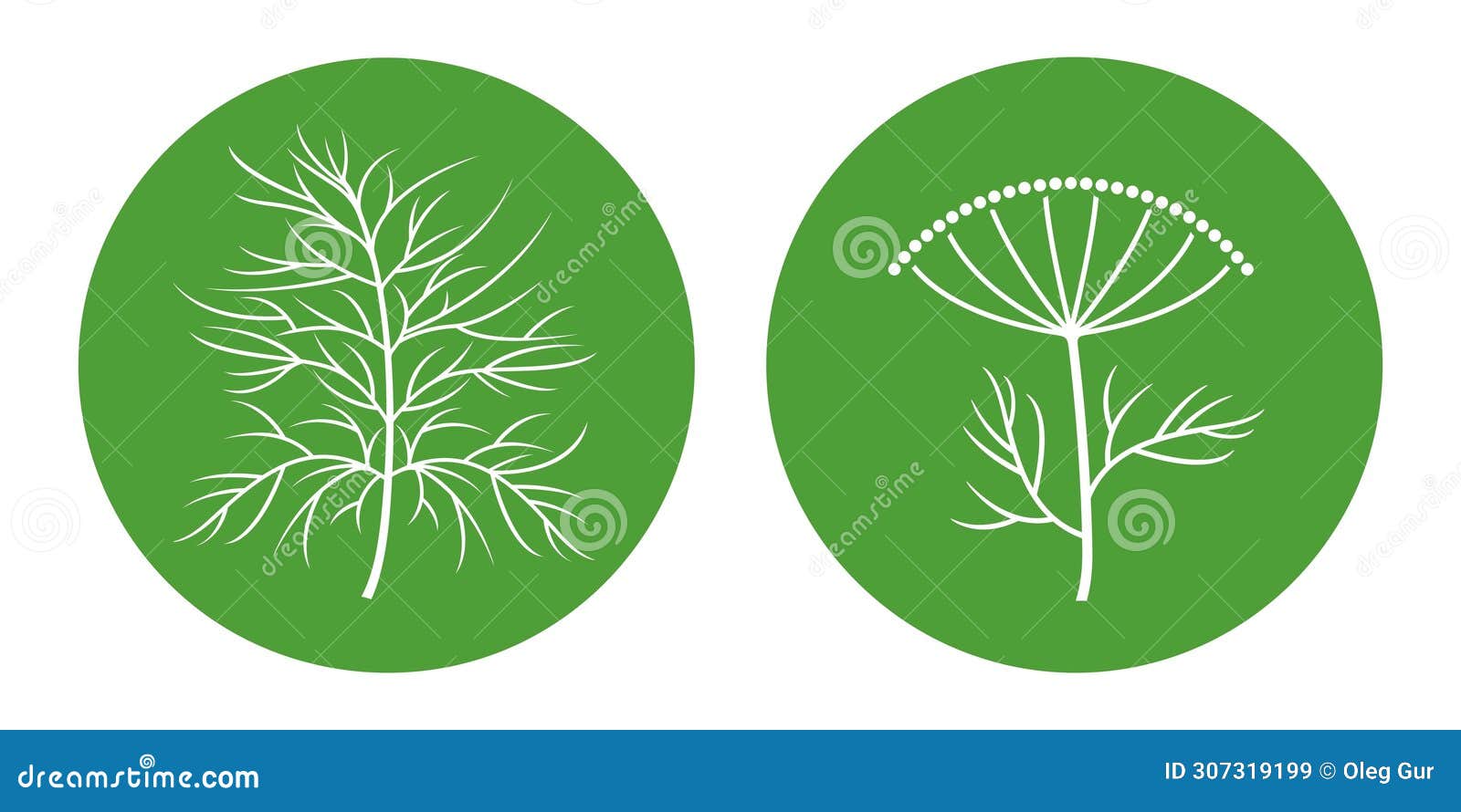 Dill Logo. Isolated Dill on White Background Stock Vector ...