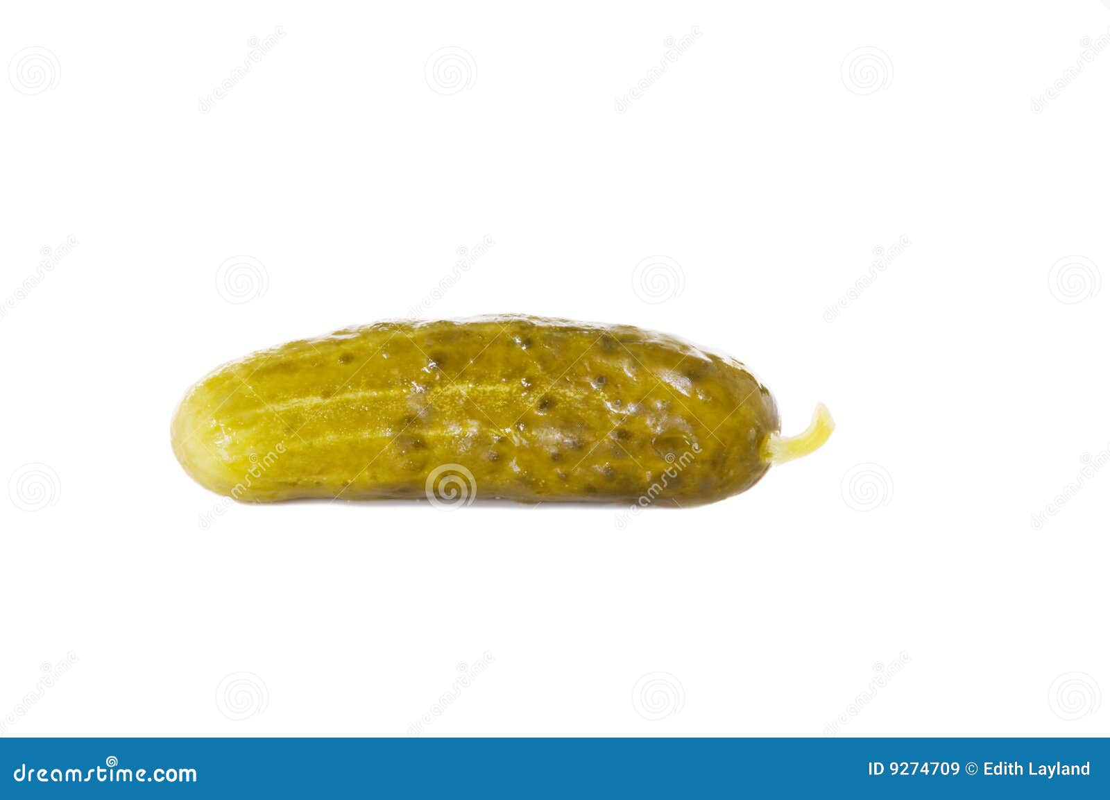 Dill Pickle Isolated stock image. Image of cucumber, preserve - 9274709