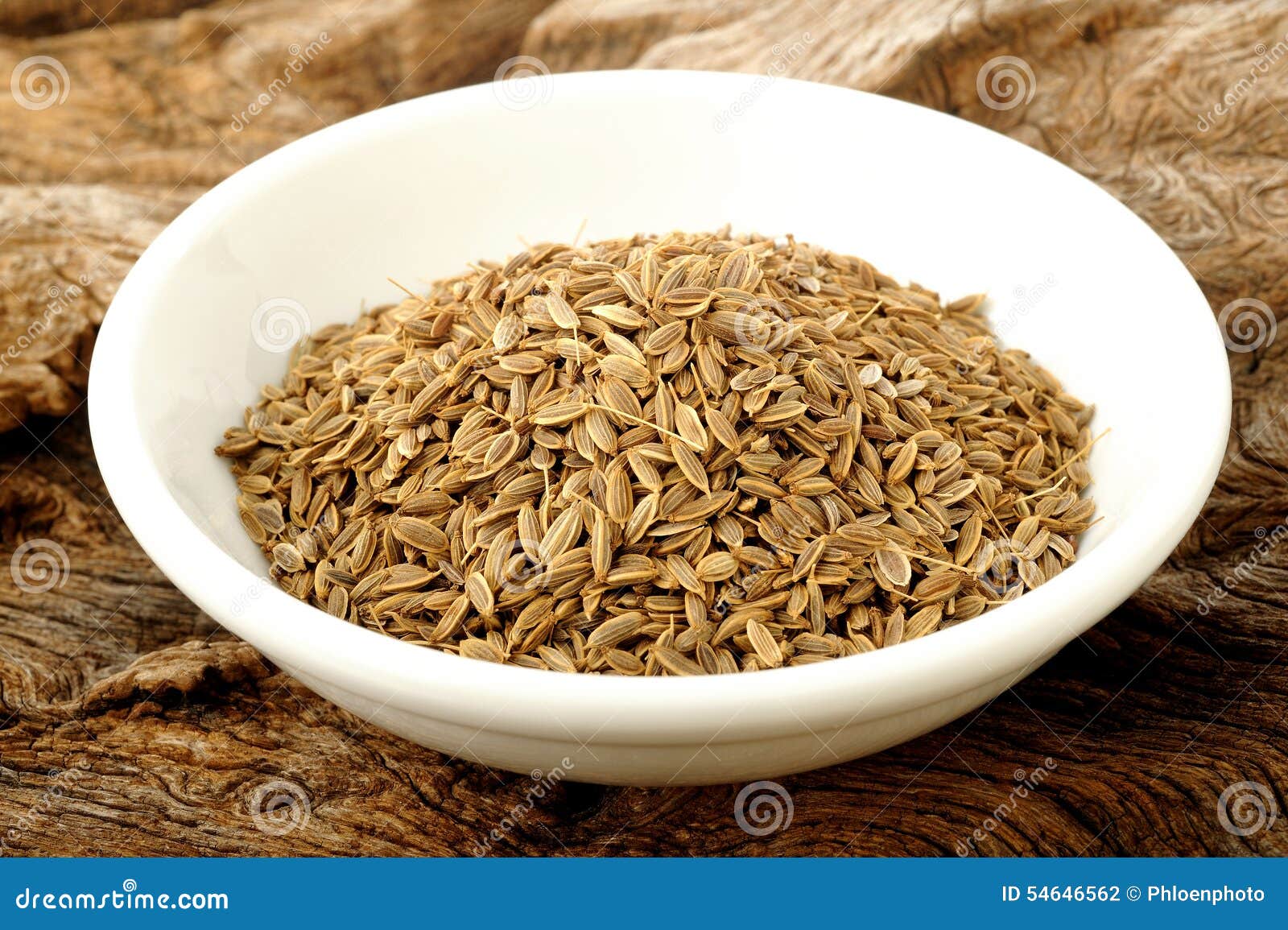 Dill seeds in white bowl stock photo. Image of seed, aromatic - 54646562