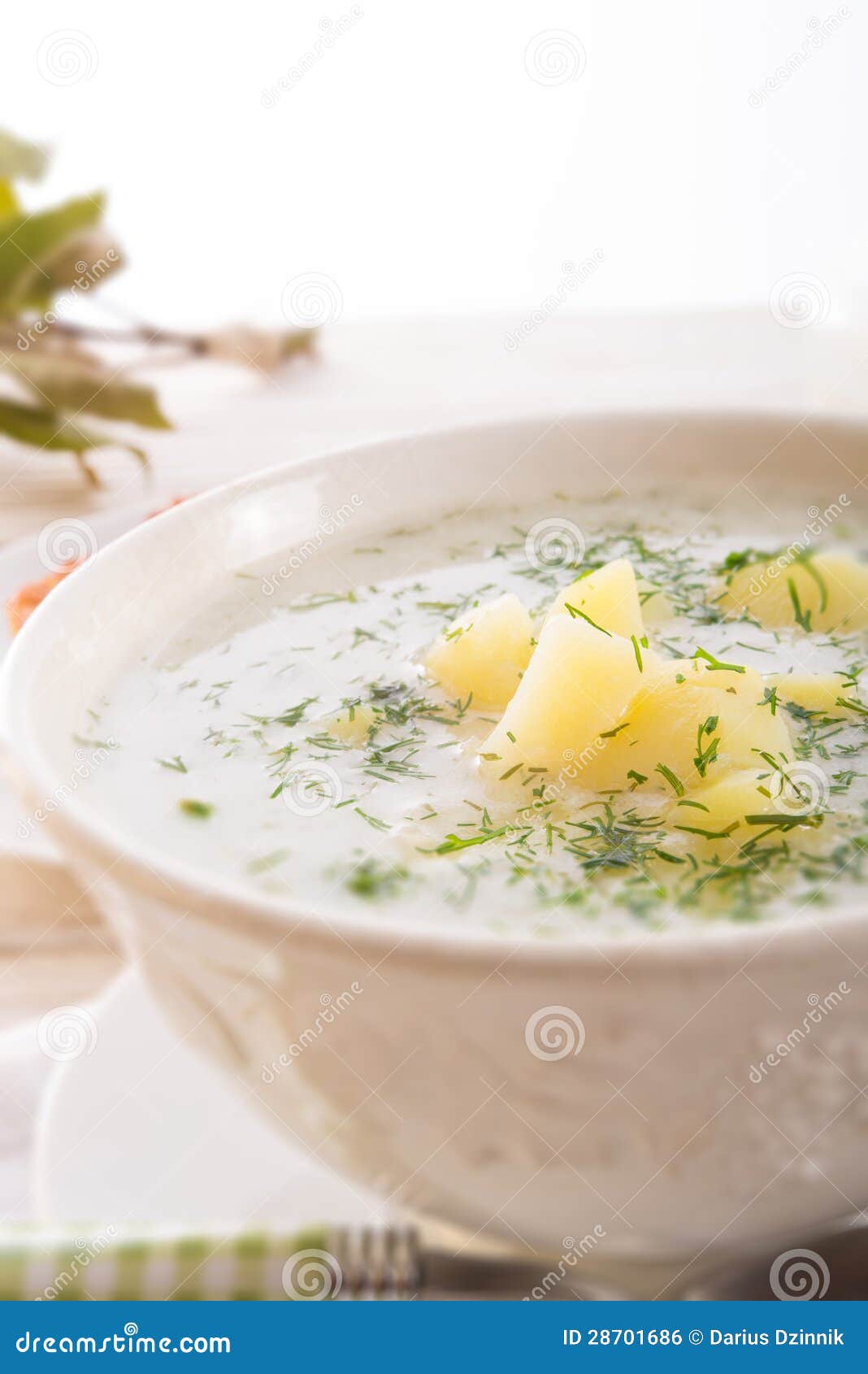 Dill soup stock photo. Image of home, leaf, cuisine, diet - 28701686