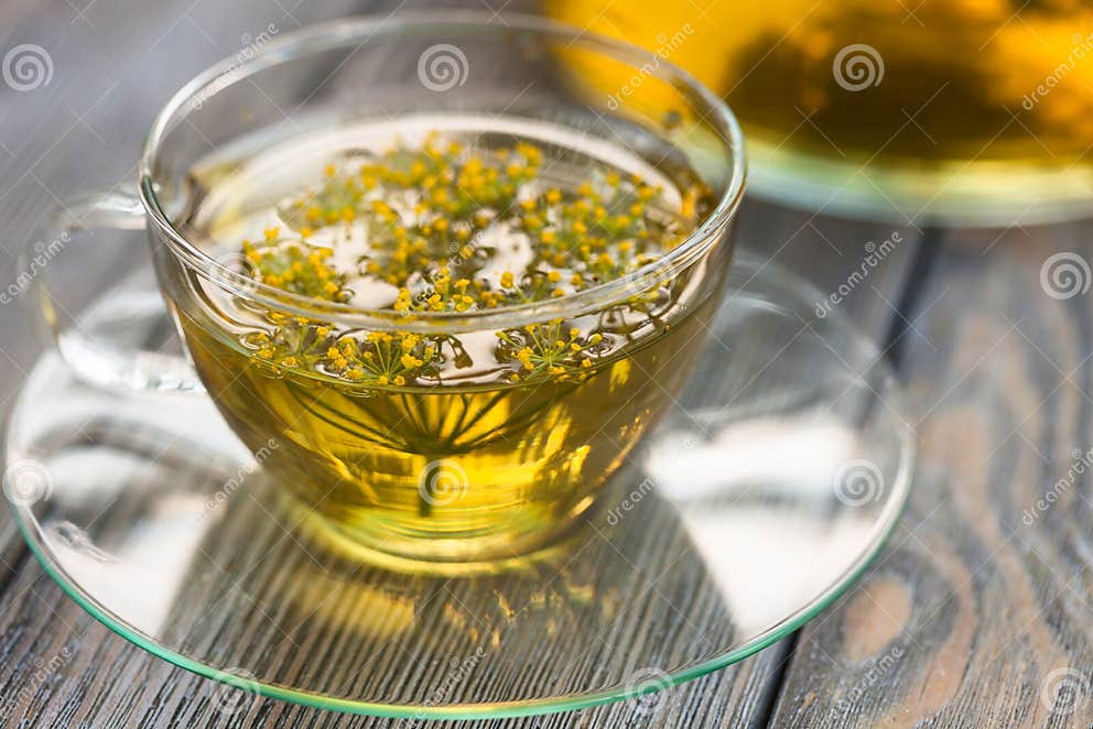 Dill tea stock photo. Image of fresh, petals, calm, nature - 44871648
