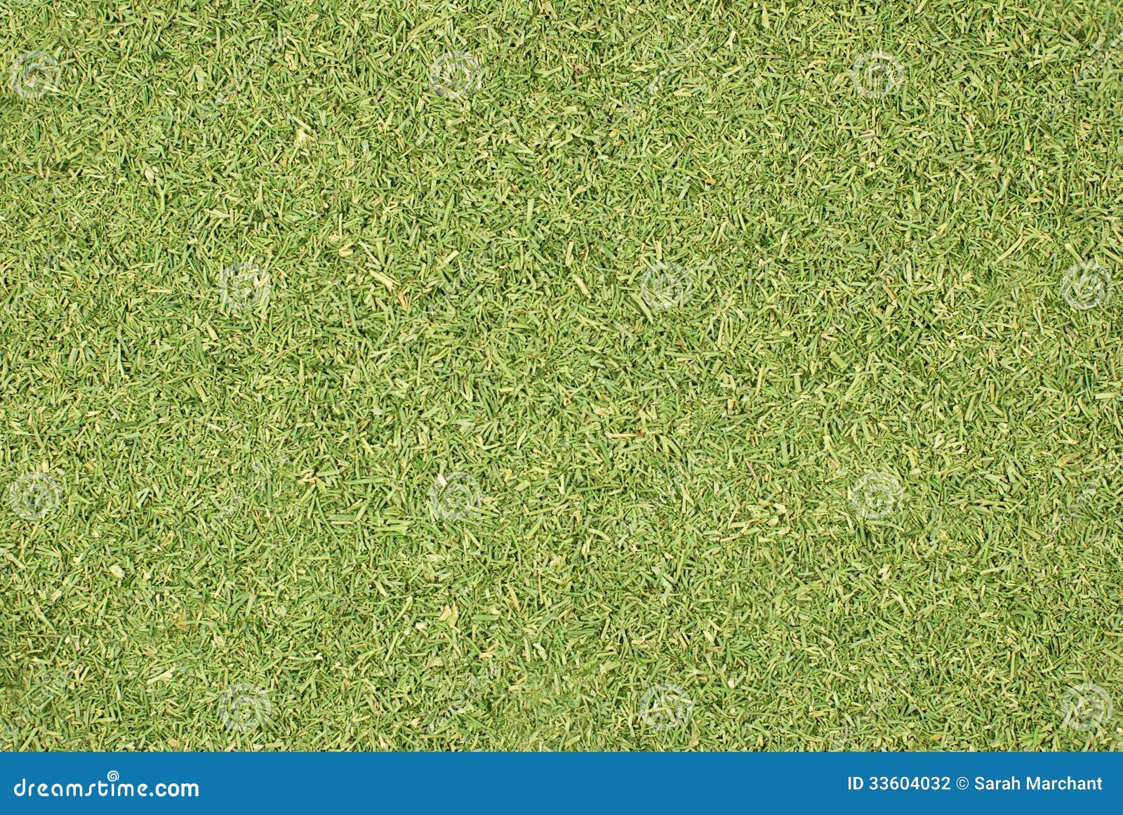 Dill Tops or Grass Clippings Background Stock Photo - Image of dried ...