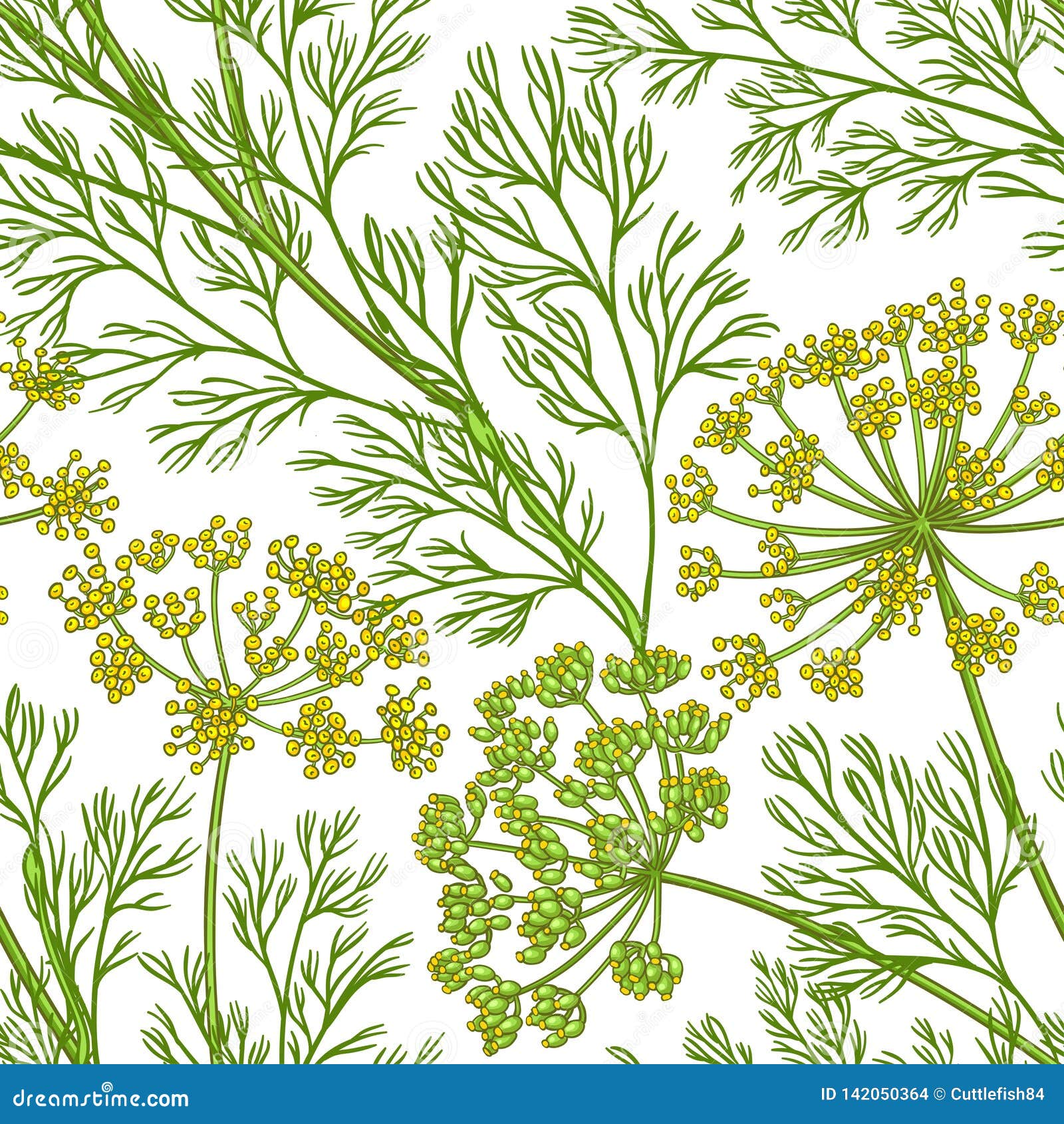 Dill. Vector Drawing | CartoonDealer.com #79780575