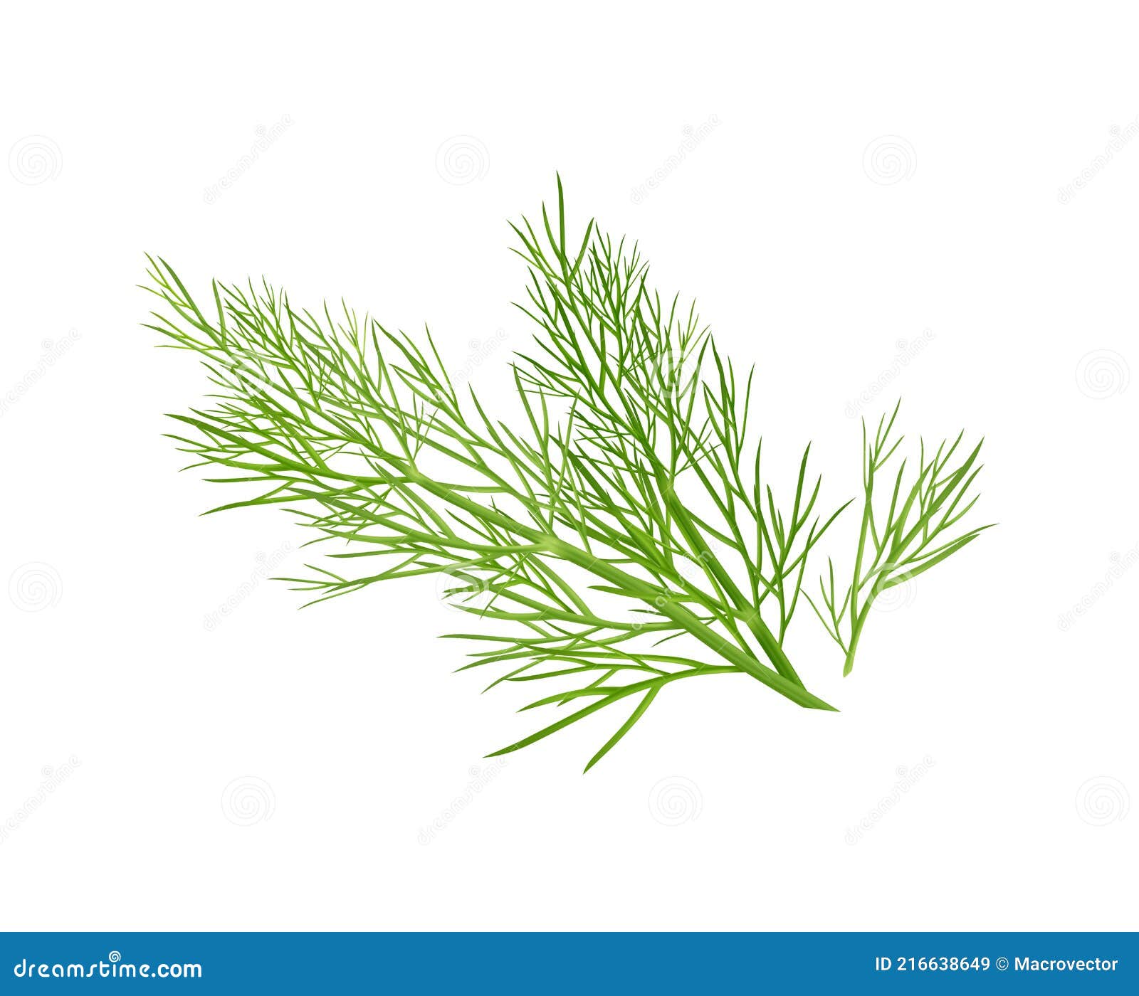 Dill Weed Realistic Composition Stock Vector - Illustration of ...