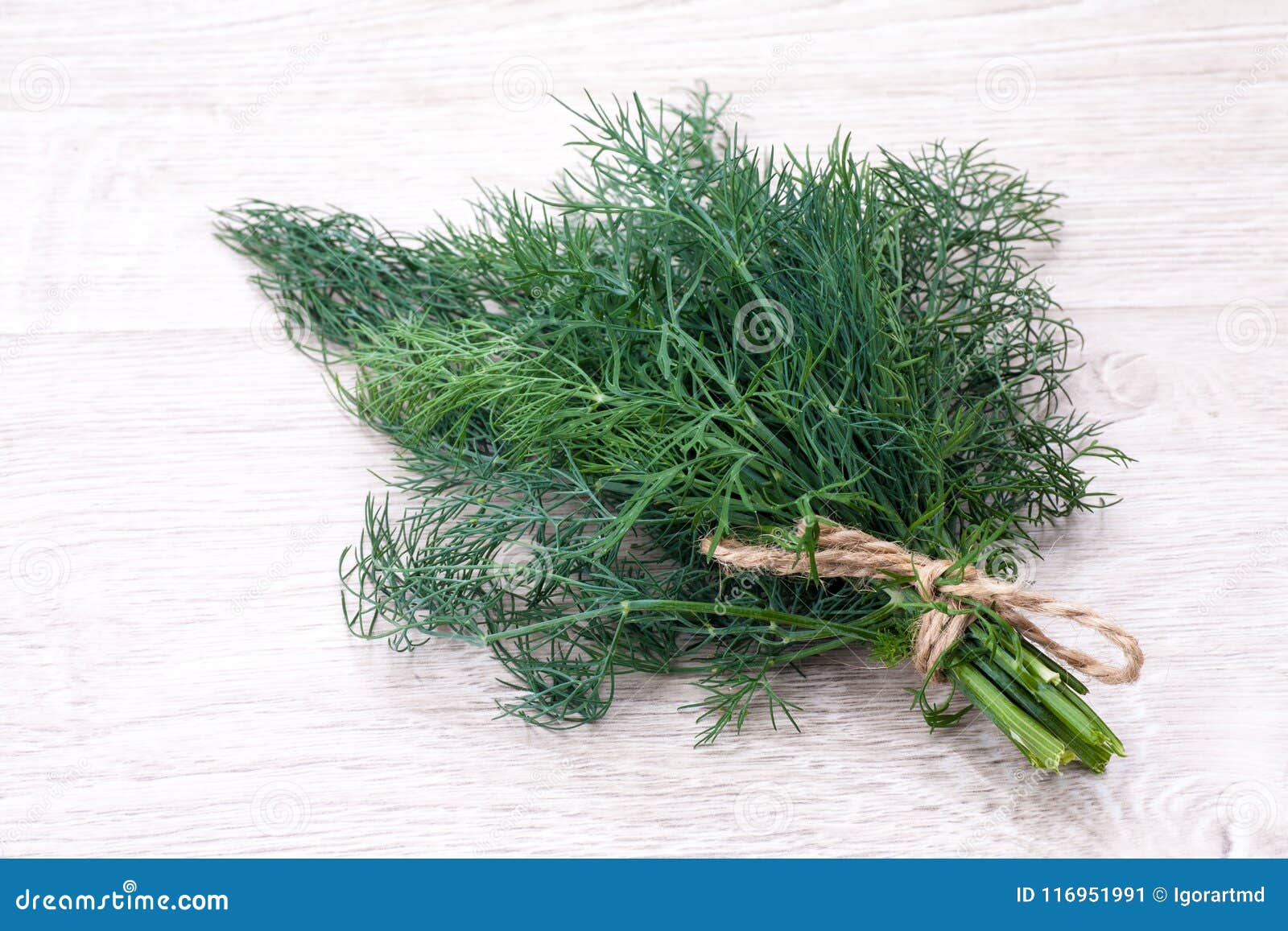 Dille stock afbeelding. Image of landbouw, groen, tuin - 116951991