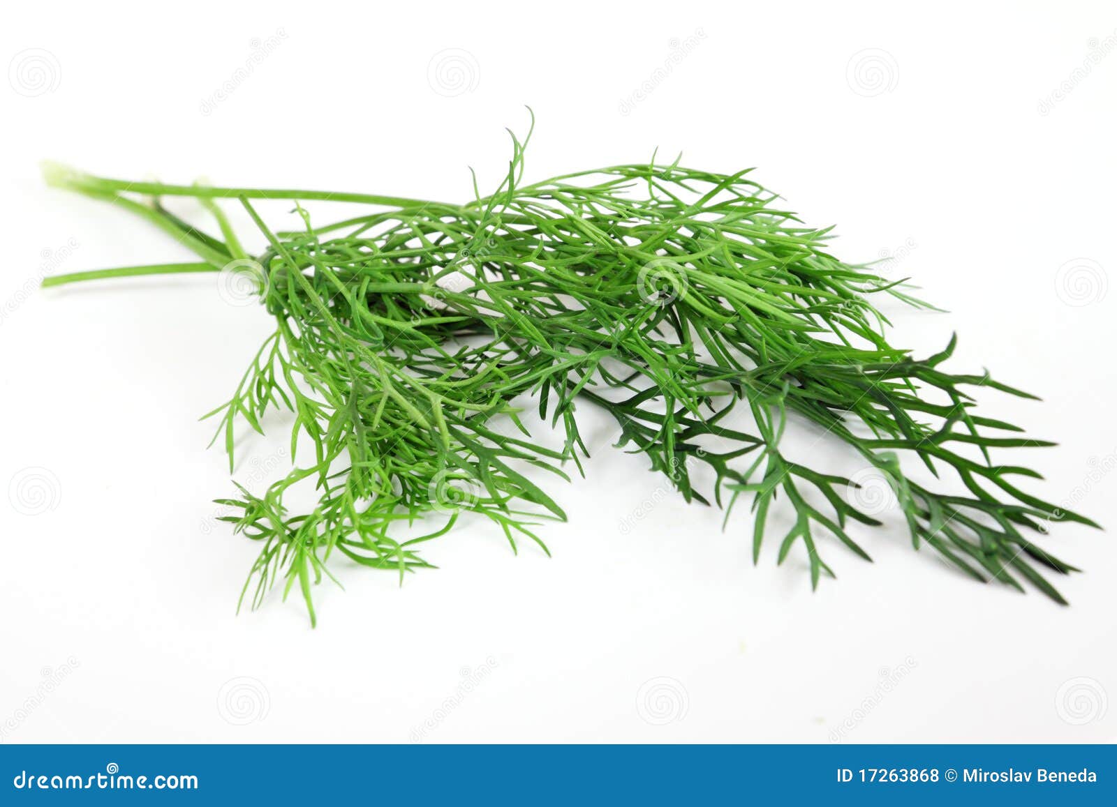 Dille stock foto. Image of geïsoleerd, venkel, gezondheid - 17263868