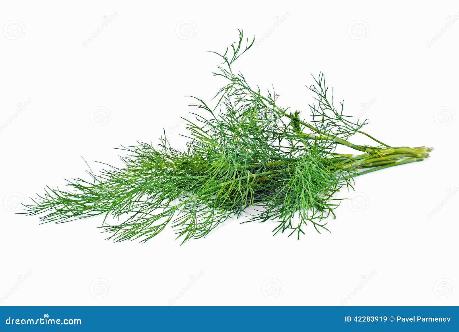 Dille stock afbeelding. Image of achtergrond, groen, kruid - 42283919