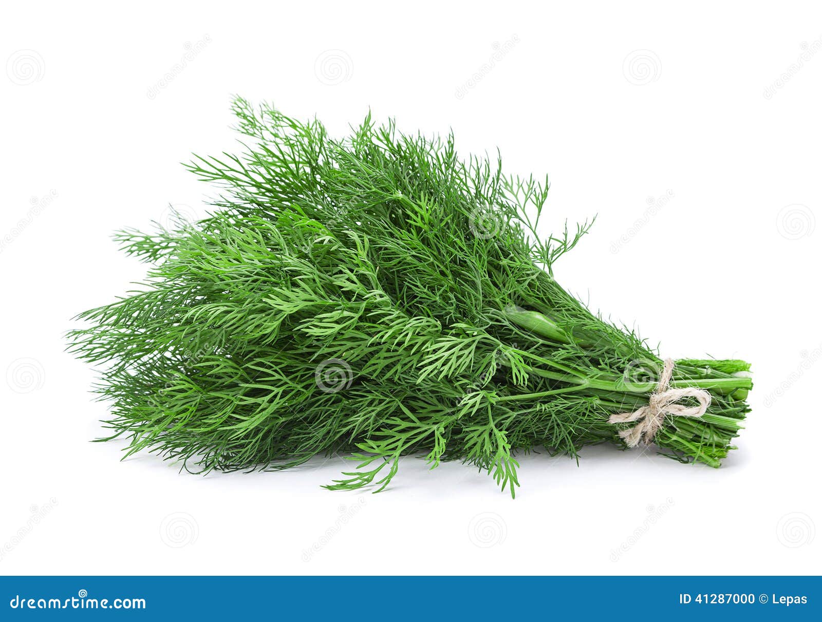 Dille aromatisch kruid stock foto. Image of ingrediënt - 41287000